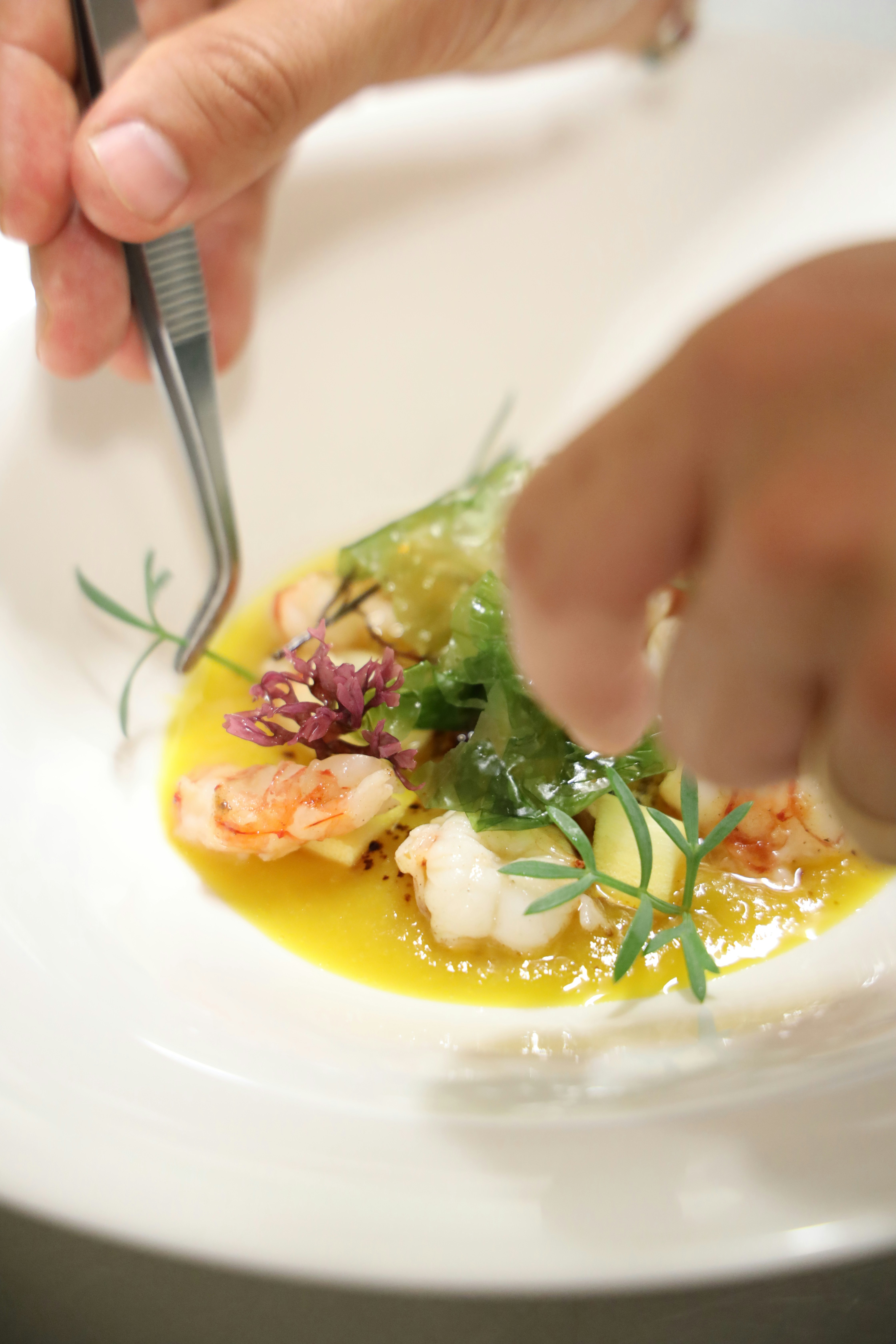luxury dining, editorial food, advertising cuisine, Italian restaurant, sophisticated dish, upscale meal, gourmet image, fine table, culinary storytelling, elegant plating | A chef finishes plating a beautiful appetizer.