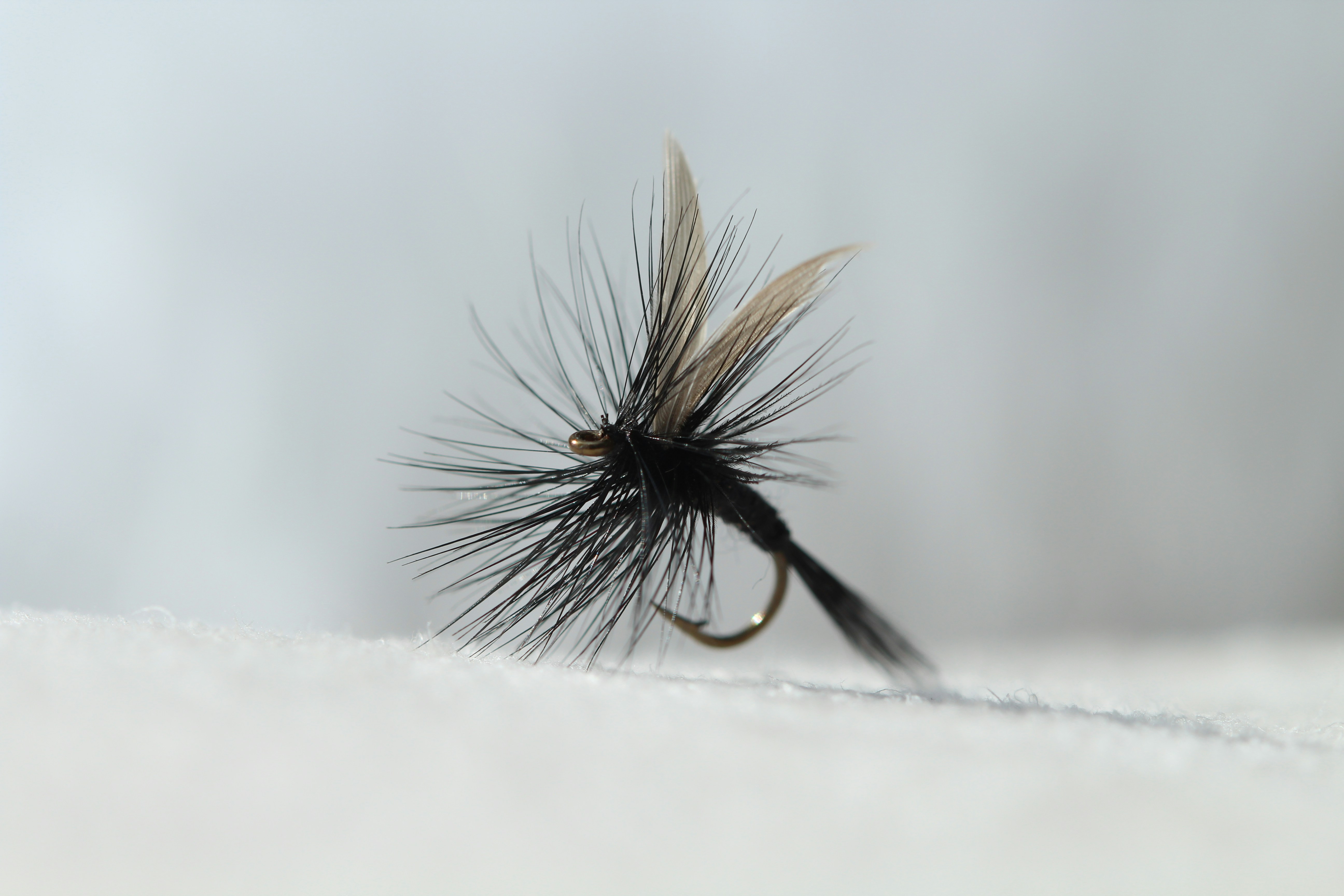 The Art of Angling: A Fly Tied with Precision