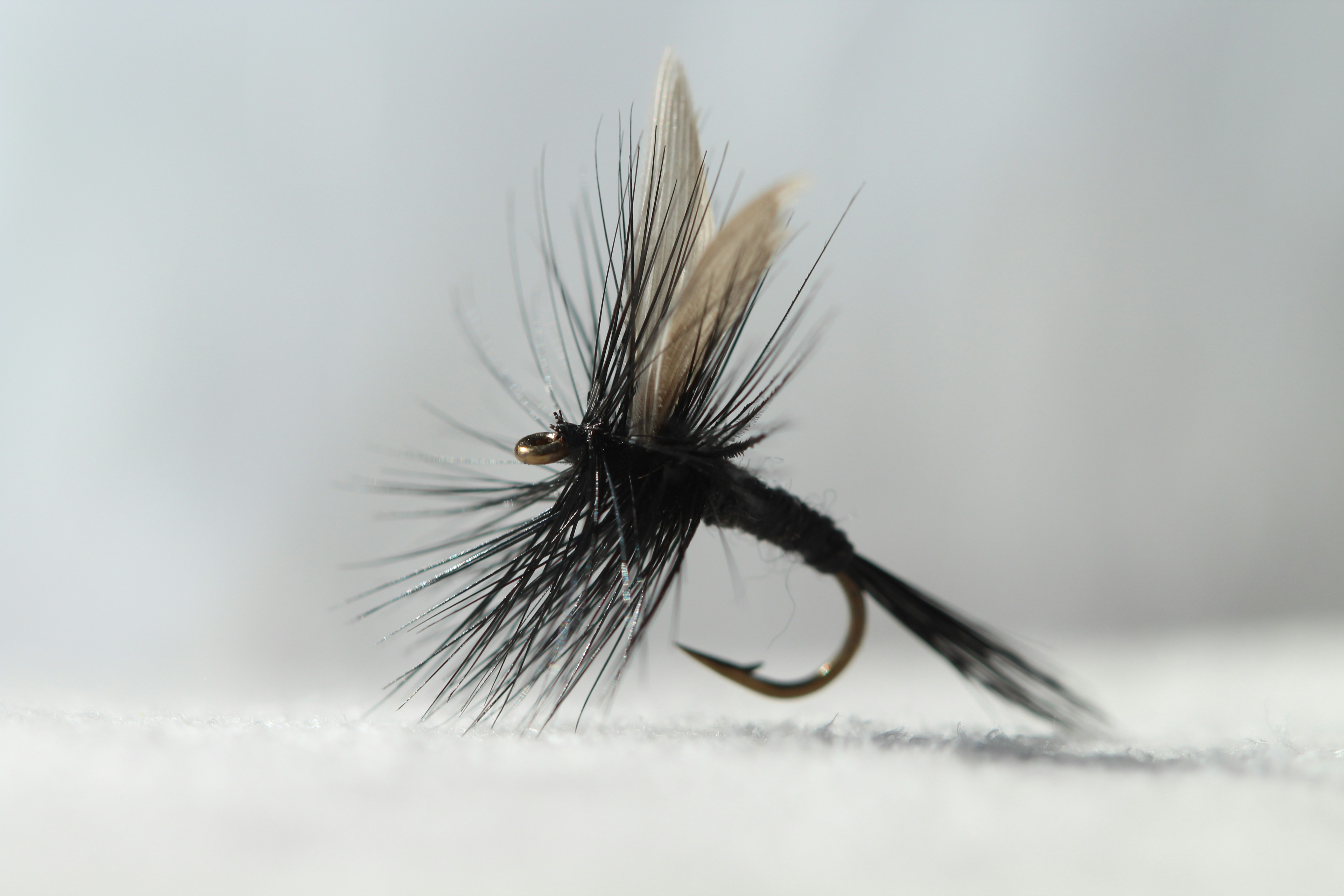 Microcosm in Focus: A Macro Encounter with a Fly Hook