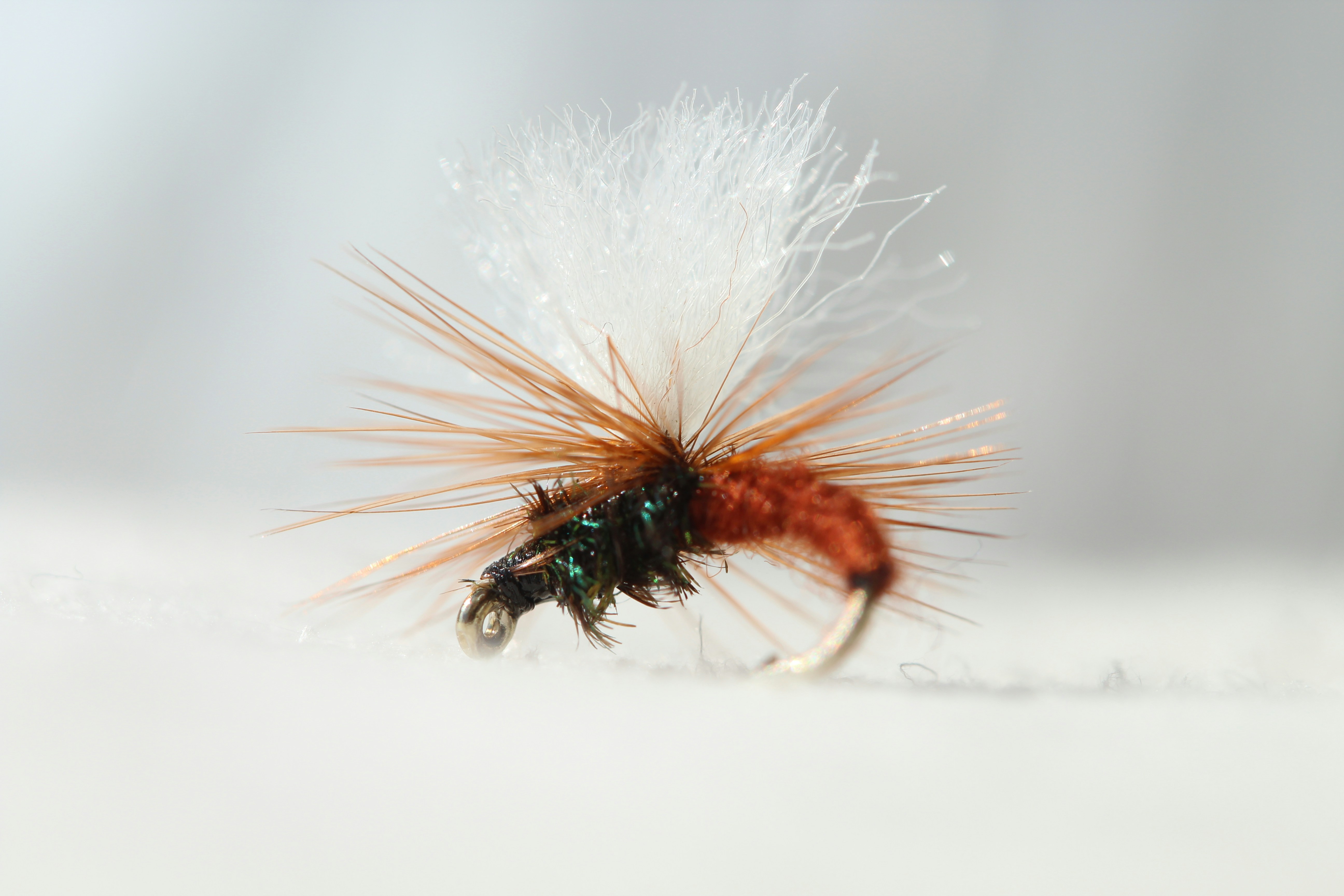 Close-up of a meticulously crafted fishing fly, showcasing intricate details and vibrant colors. The fly features a prominent white tuft and striking brown and green elements.