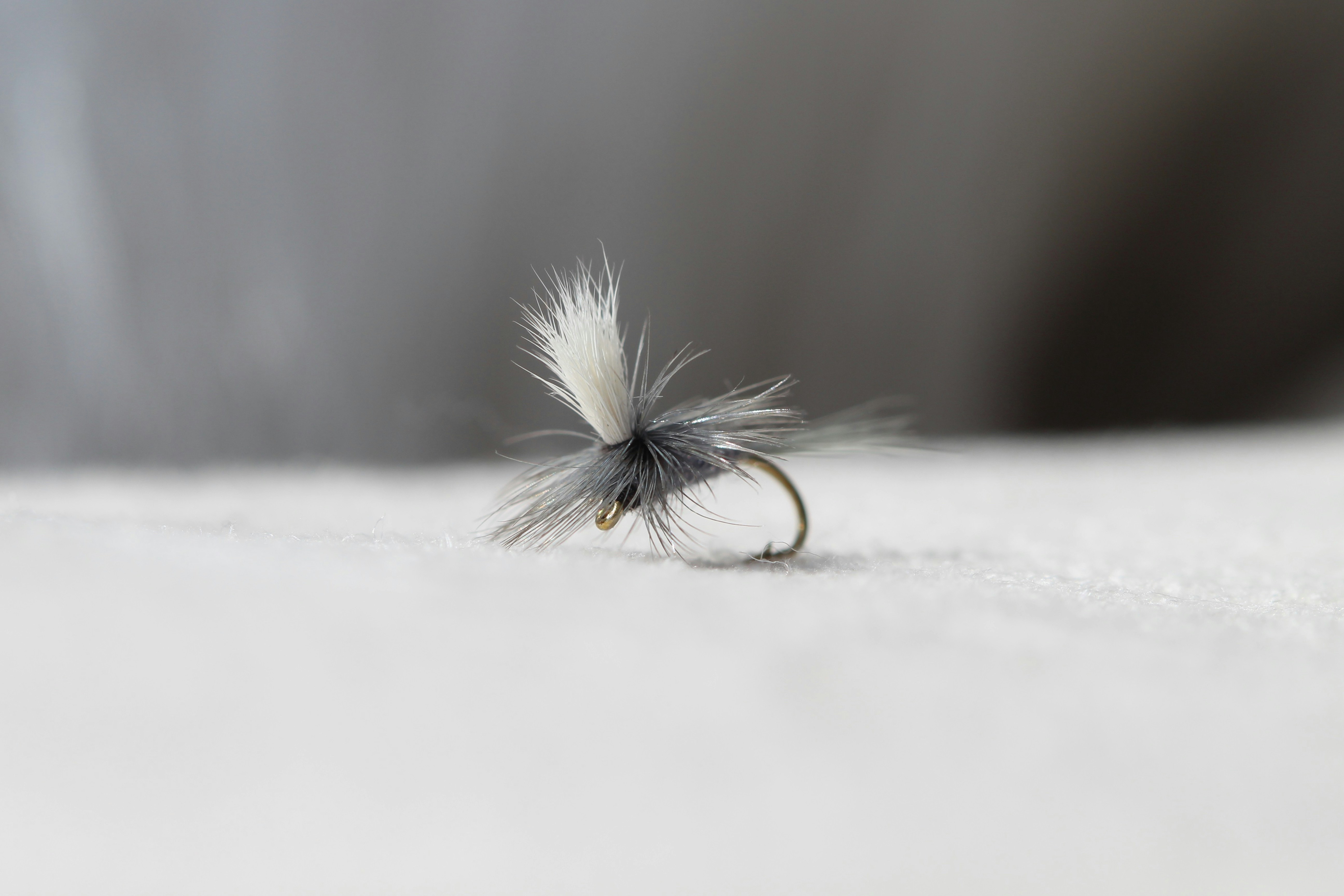 Close-up of a meticulously crafted fishing fly, showcasing intricate details of feathers and materials. The background blurs softly, emphasizing the lure's craftsmanship.