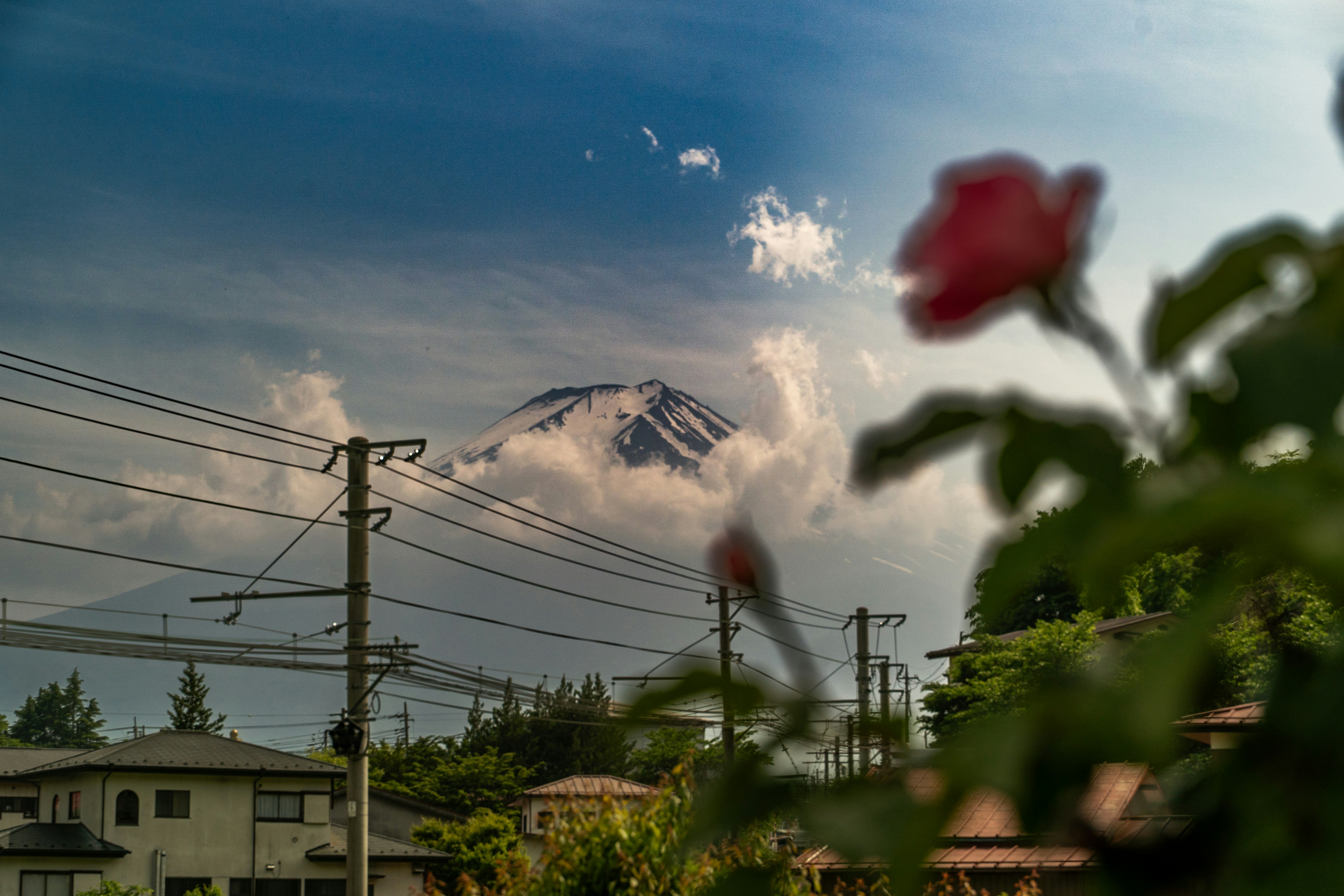 Whispers of Nature: A Floral Frame for Majestic Peaks