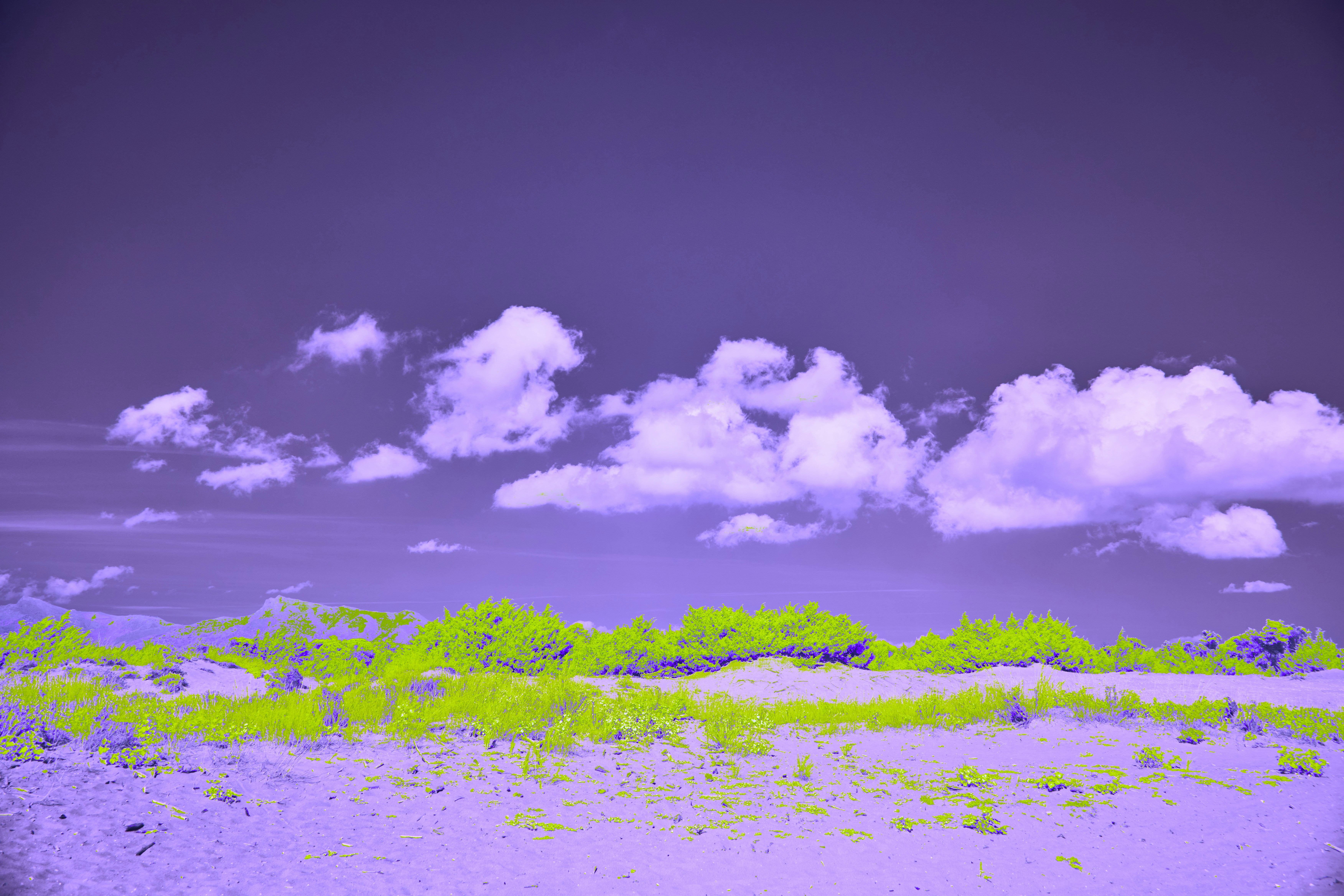 Vibrant landscape featuring a blend of purple tones and lush greenery under a sky adorned with fluffy clouds.