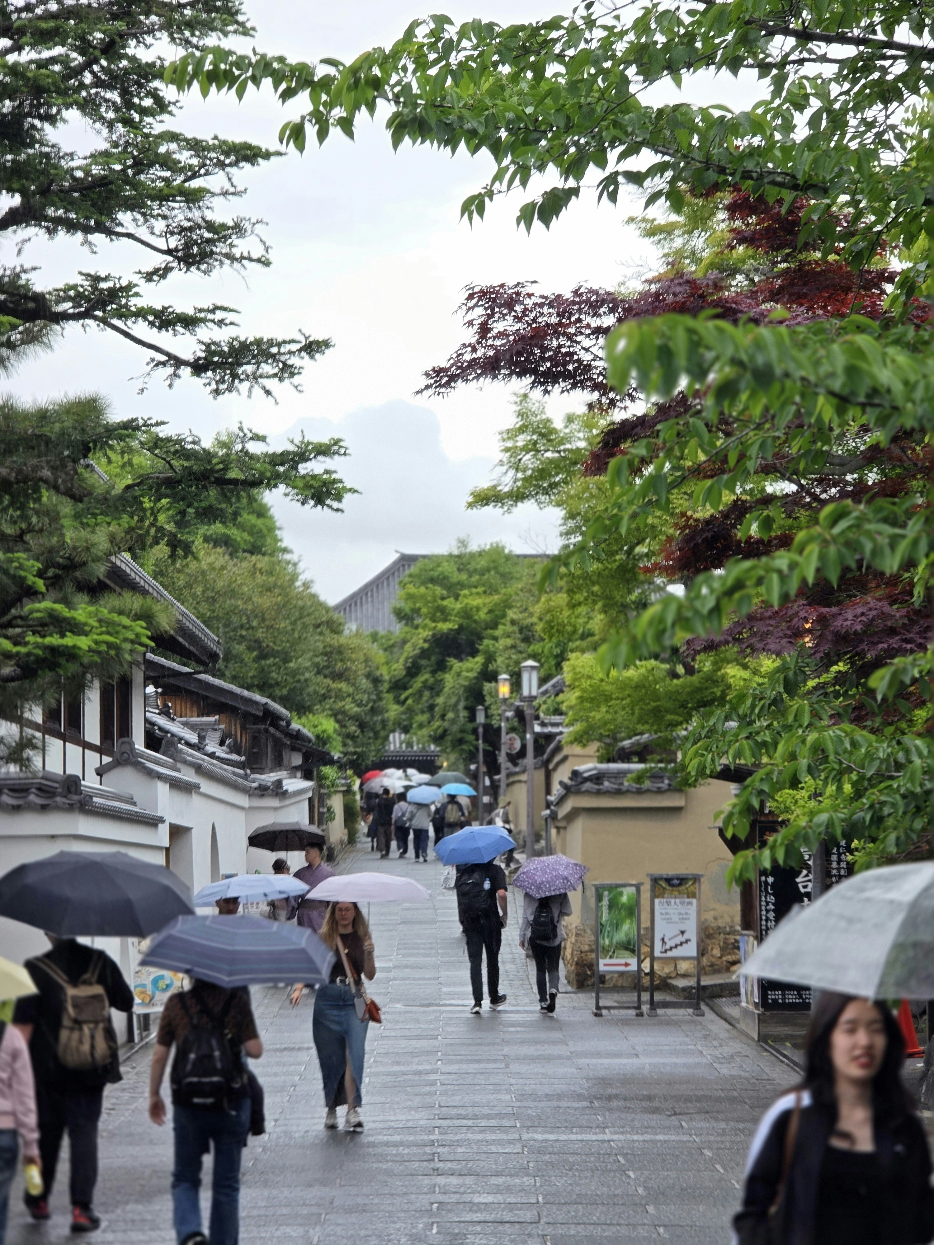 Tanmay Jain (@niaj_xvi) | Komunitas Foto Unsplash