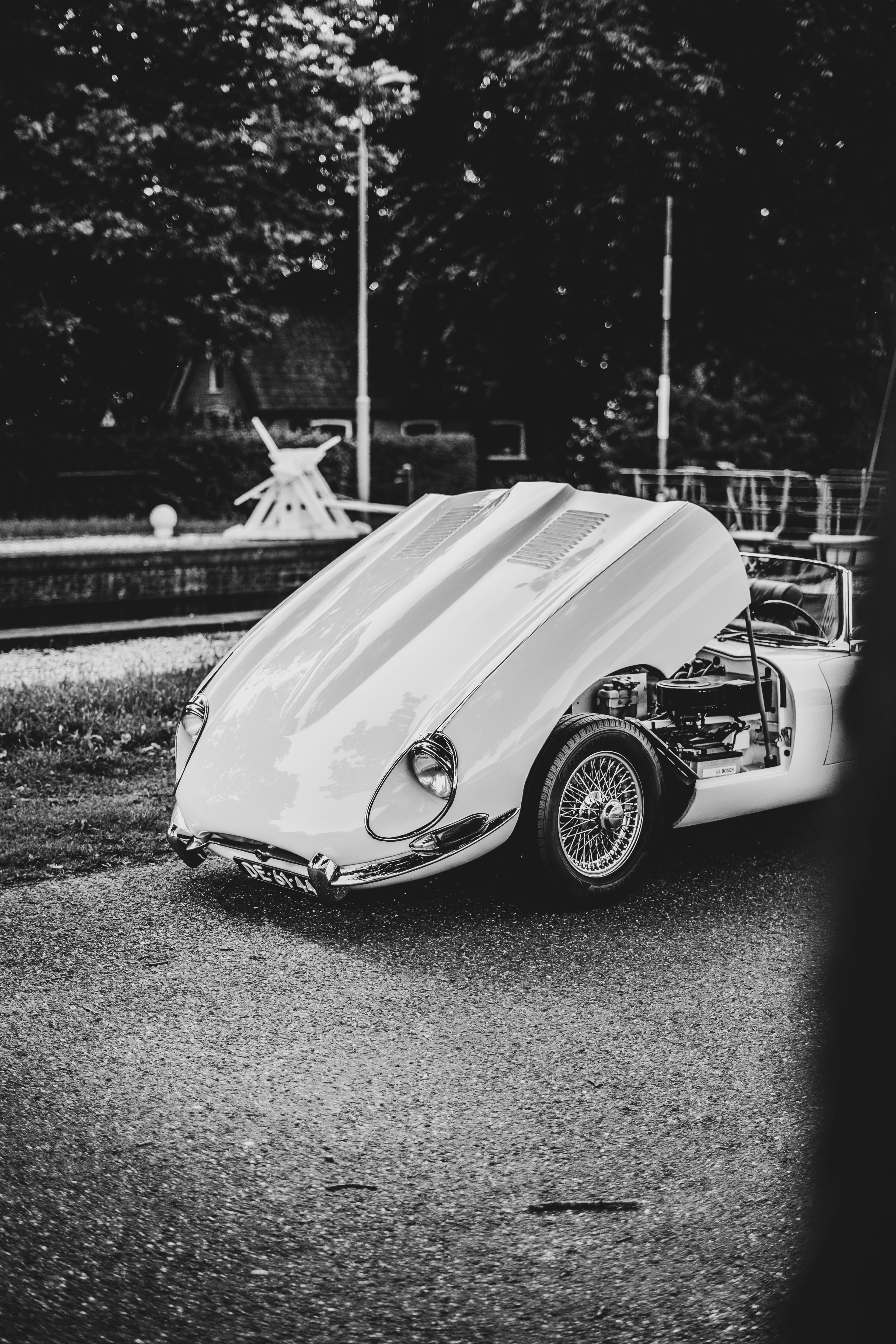 Classic car with an open hood showcasing intricate engine details, surrounded by lush greenery.