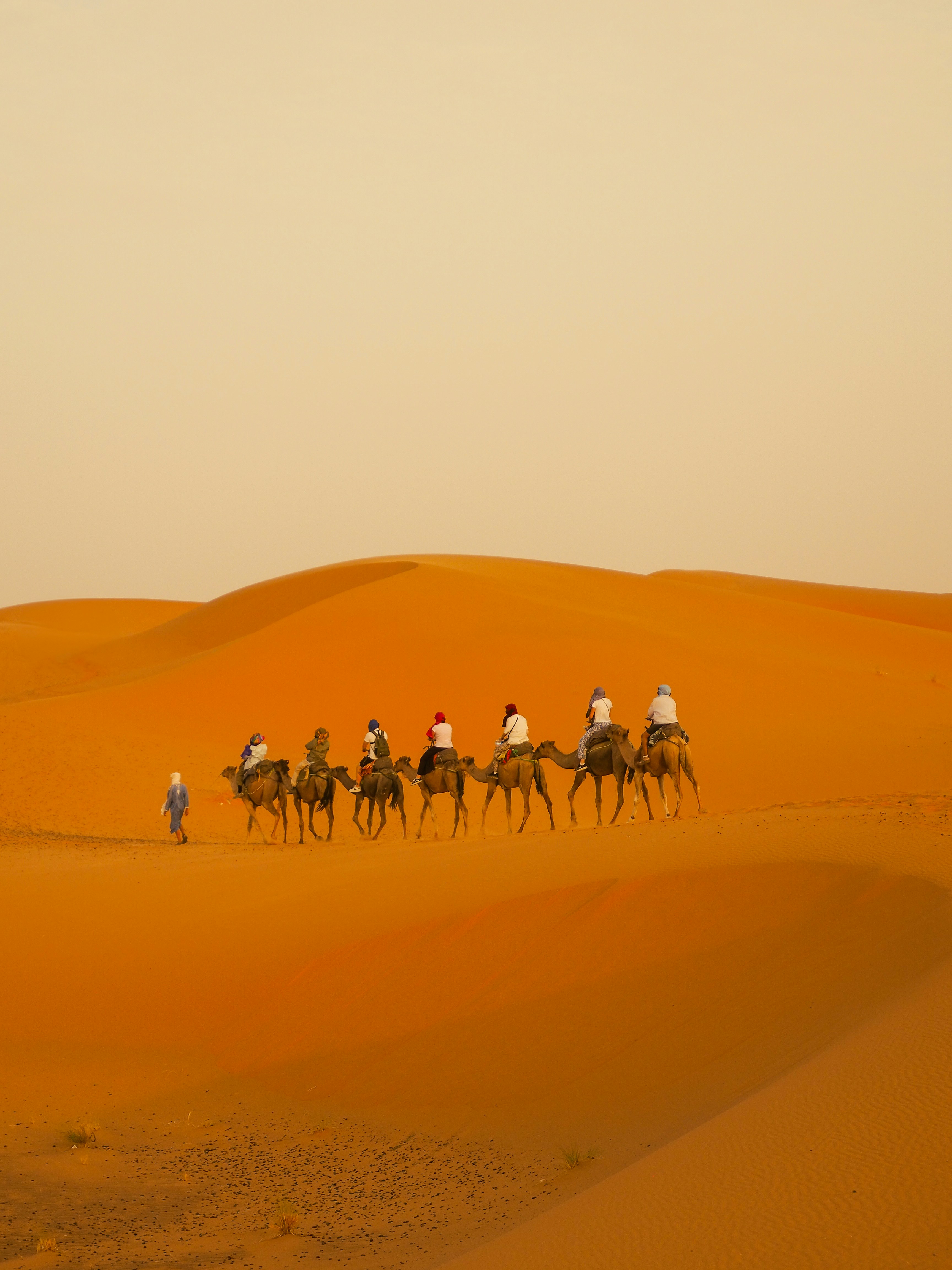 A caravan of camels traversing the vast, golden sand dunes under a soft, pastel sky.