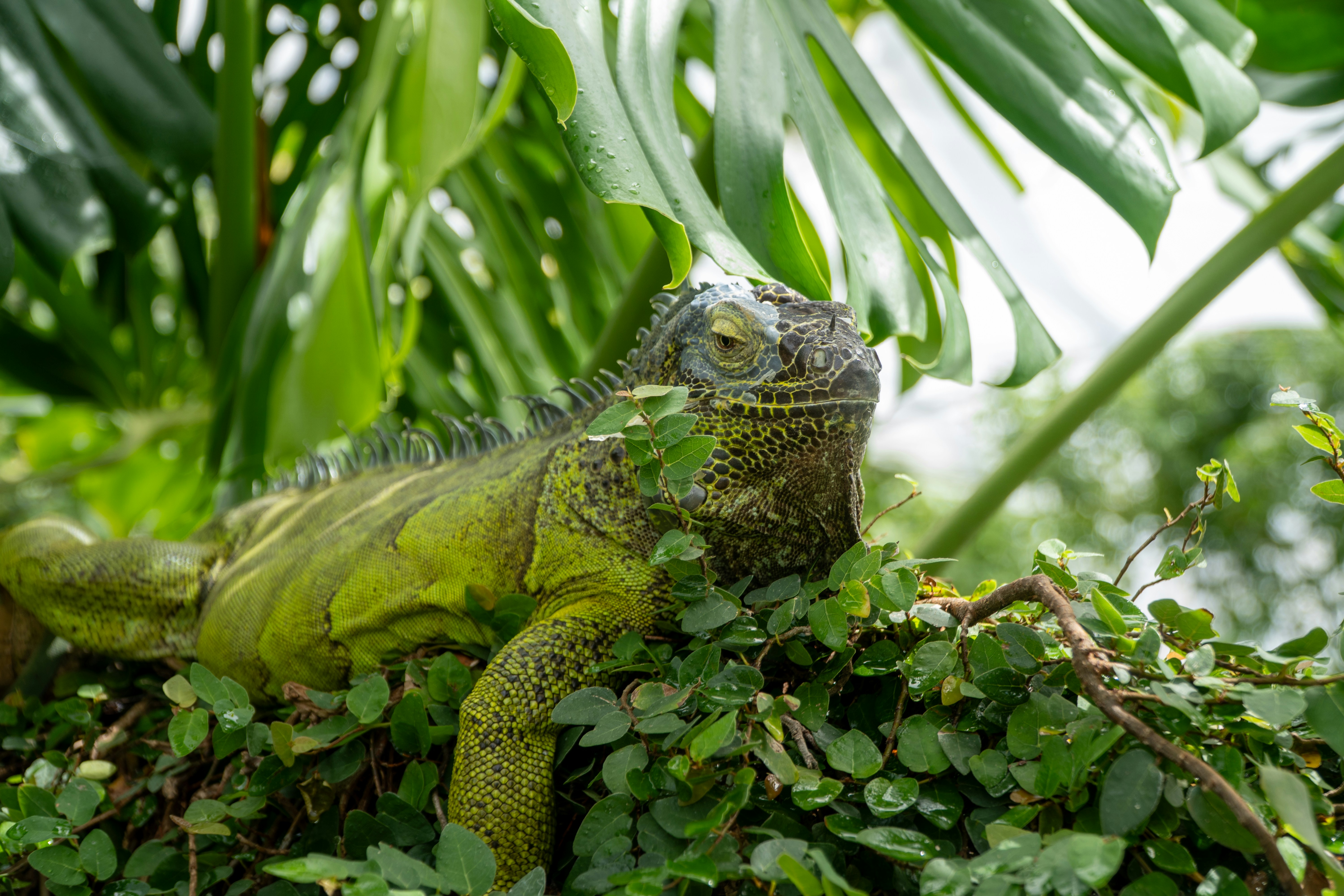 Photo by Rob Wingate with Sony Alpha 6400