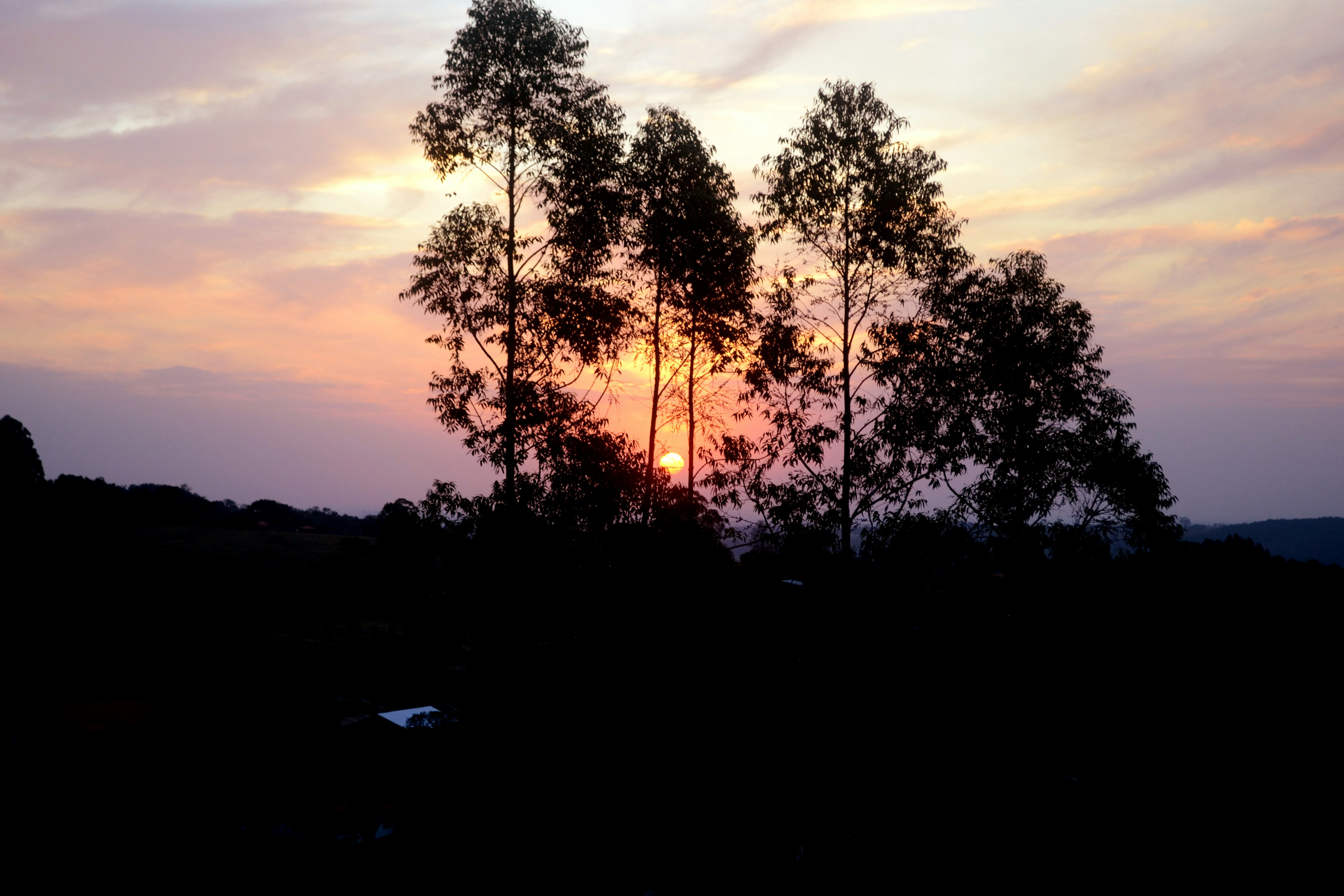 Silhouetted Serenity at Dusk