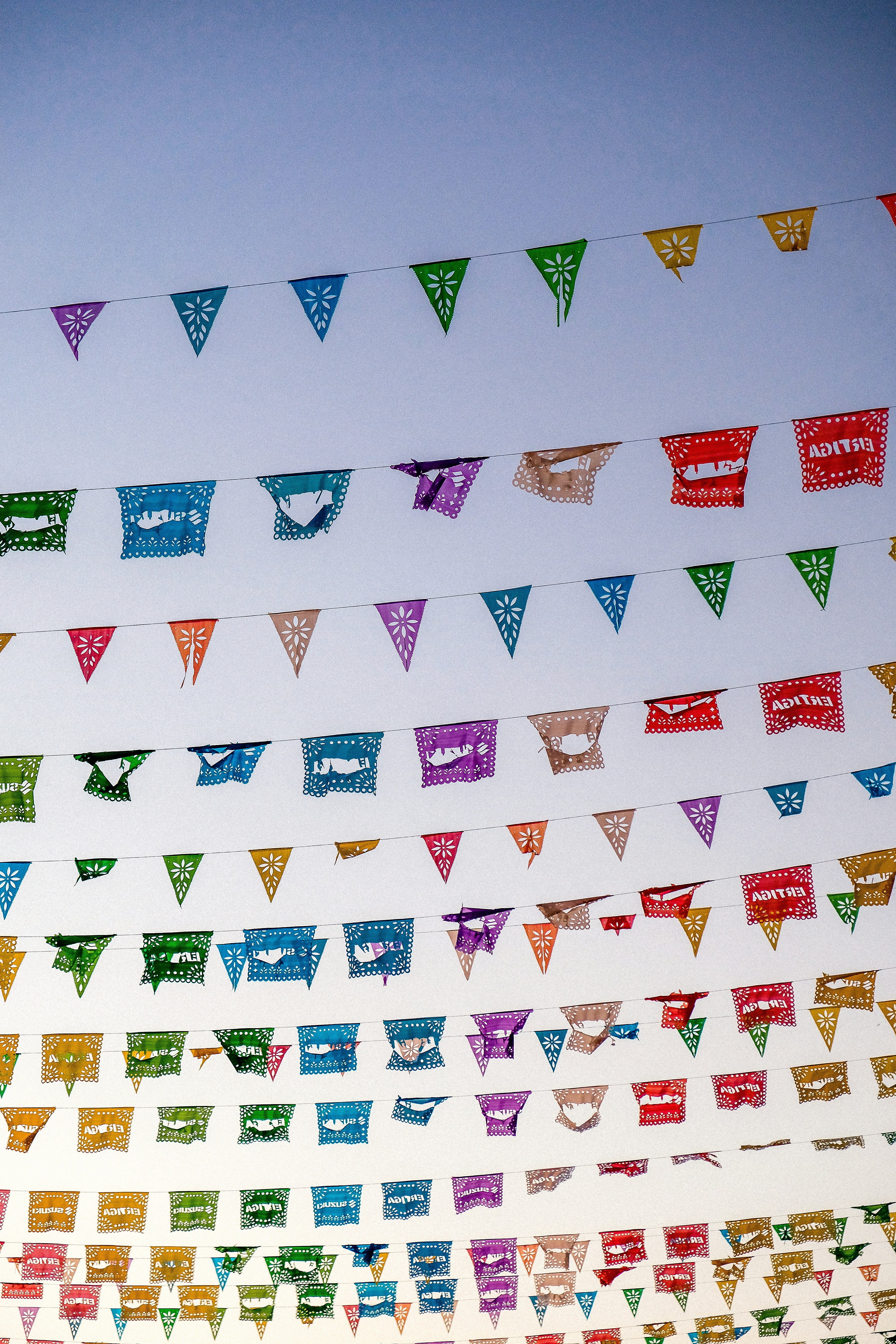 A Sky Woven With Color: Rows of Festive Bunting