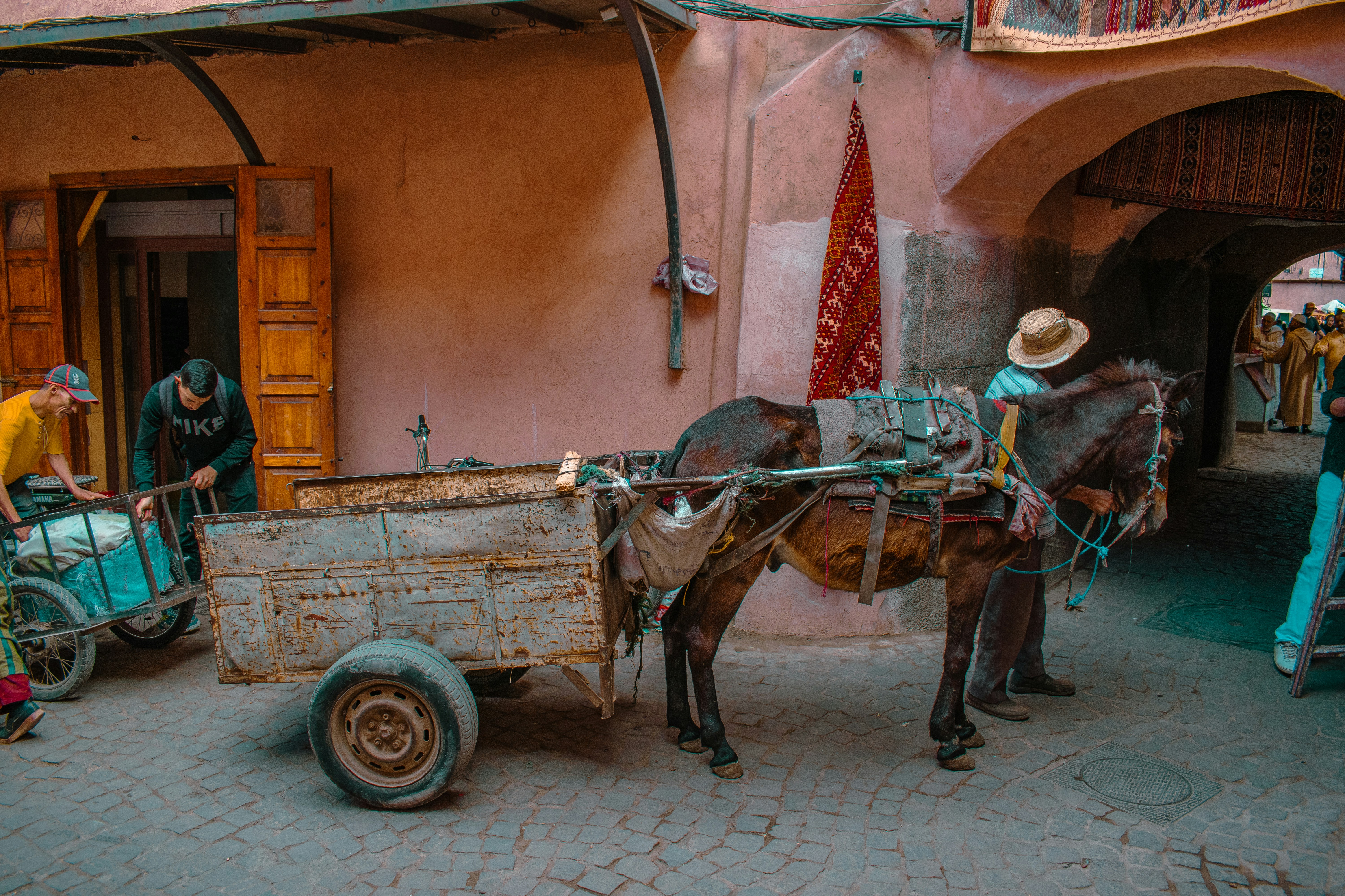 Photo by Matthew Stephenson with Nikon D3500