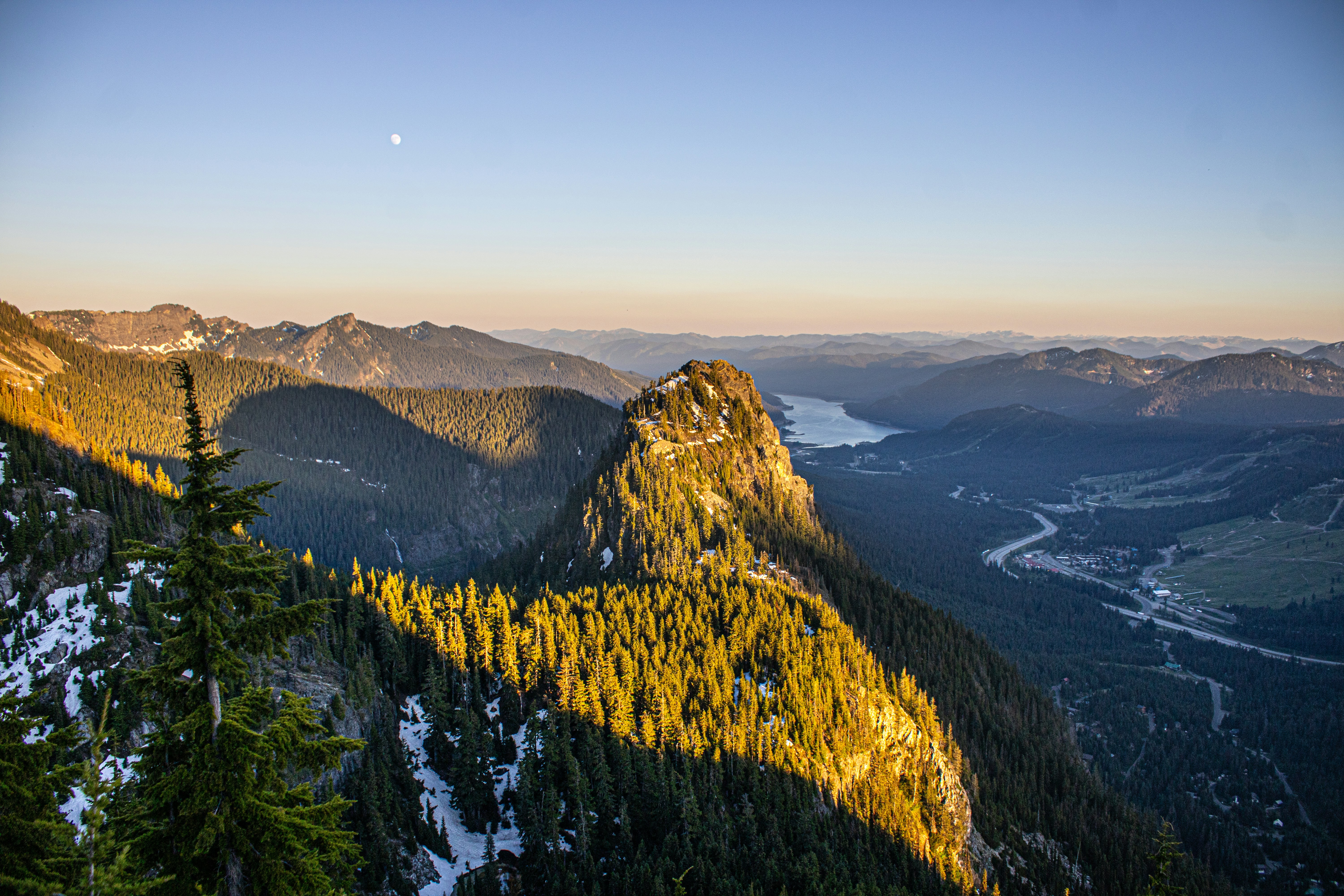 Golden Crest: A Sunlit Summit Over the Pine Cathedral