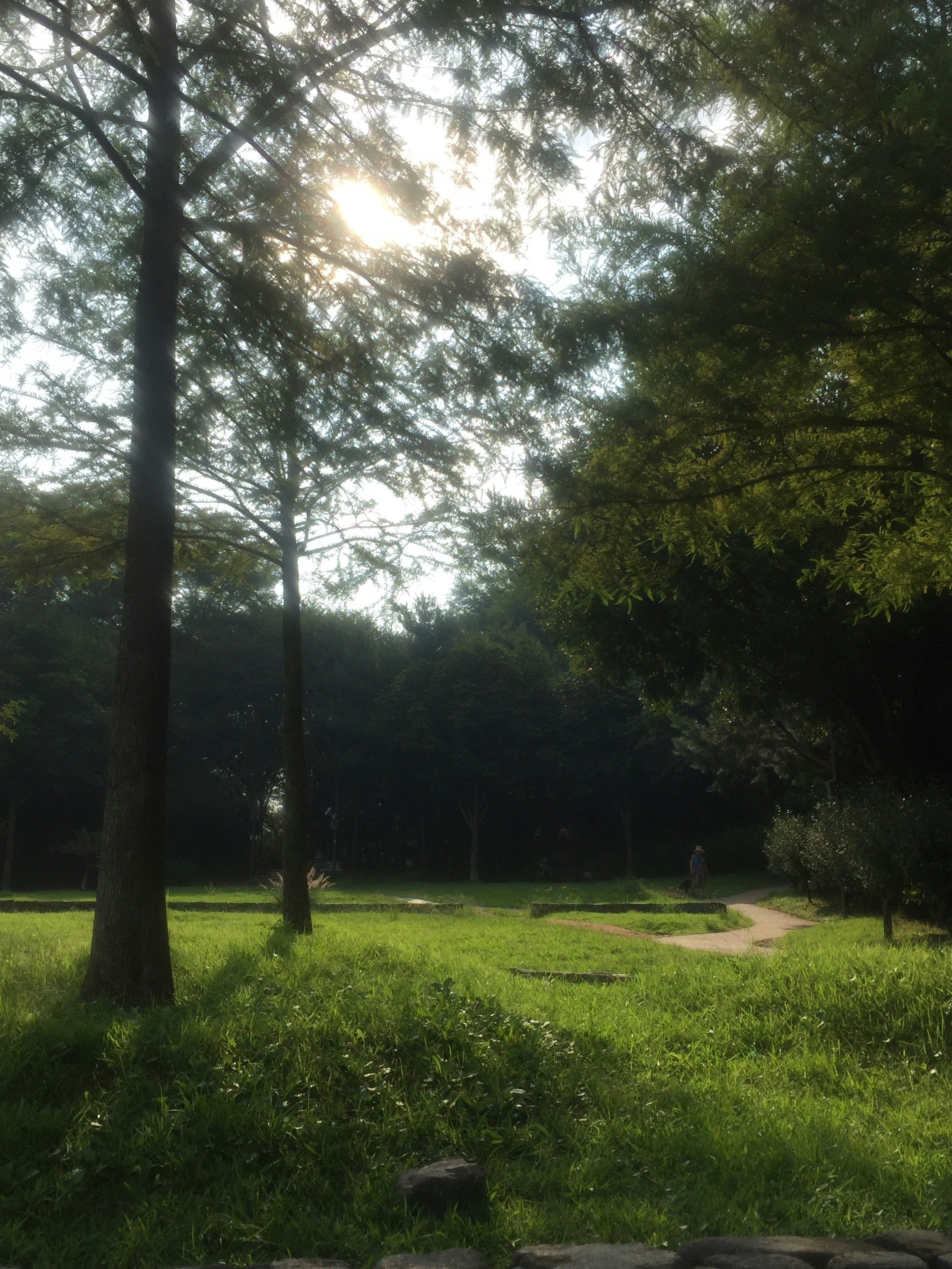 heesu kim (@kimheesu) | Communauté photos Unsplash