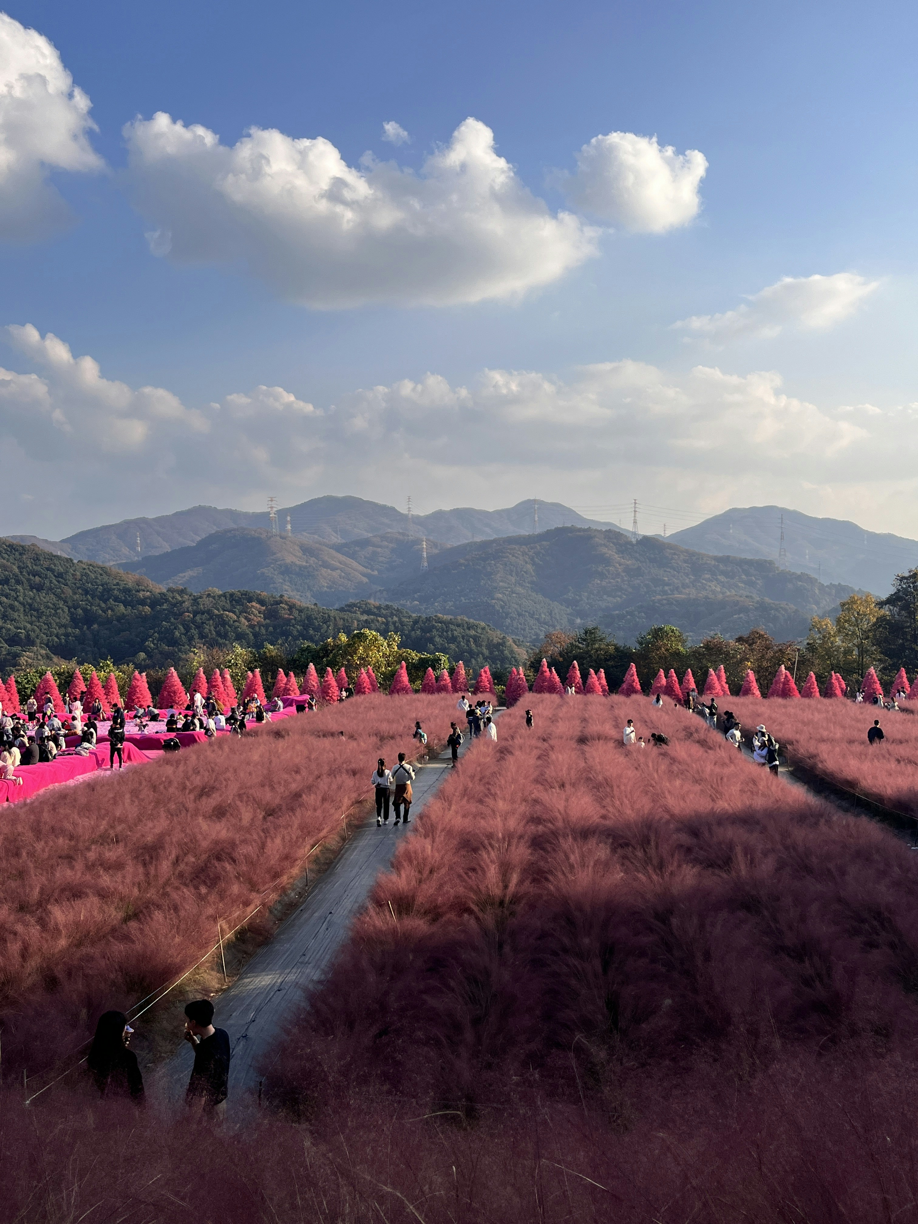 heesu kim (@kimheesu) | Unsplashフォトコミュニティ