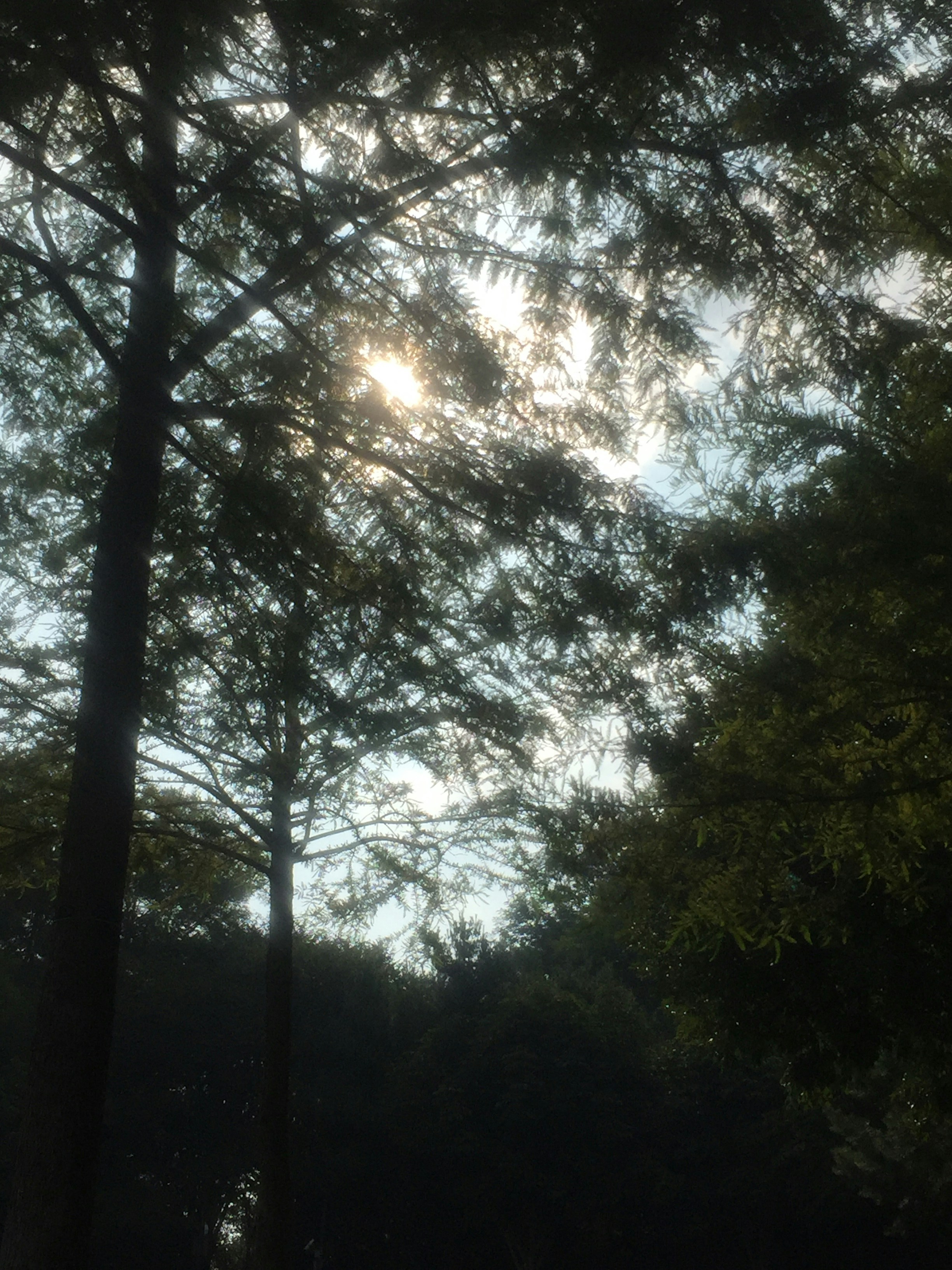 heesu kim (@kimheesu) | Unsplash 사진 커뮤니티