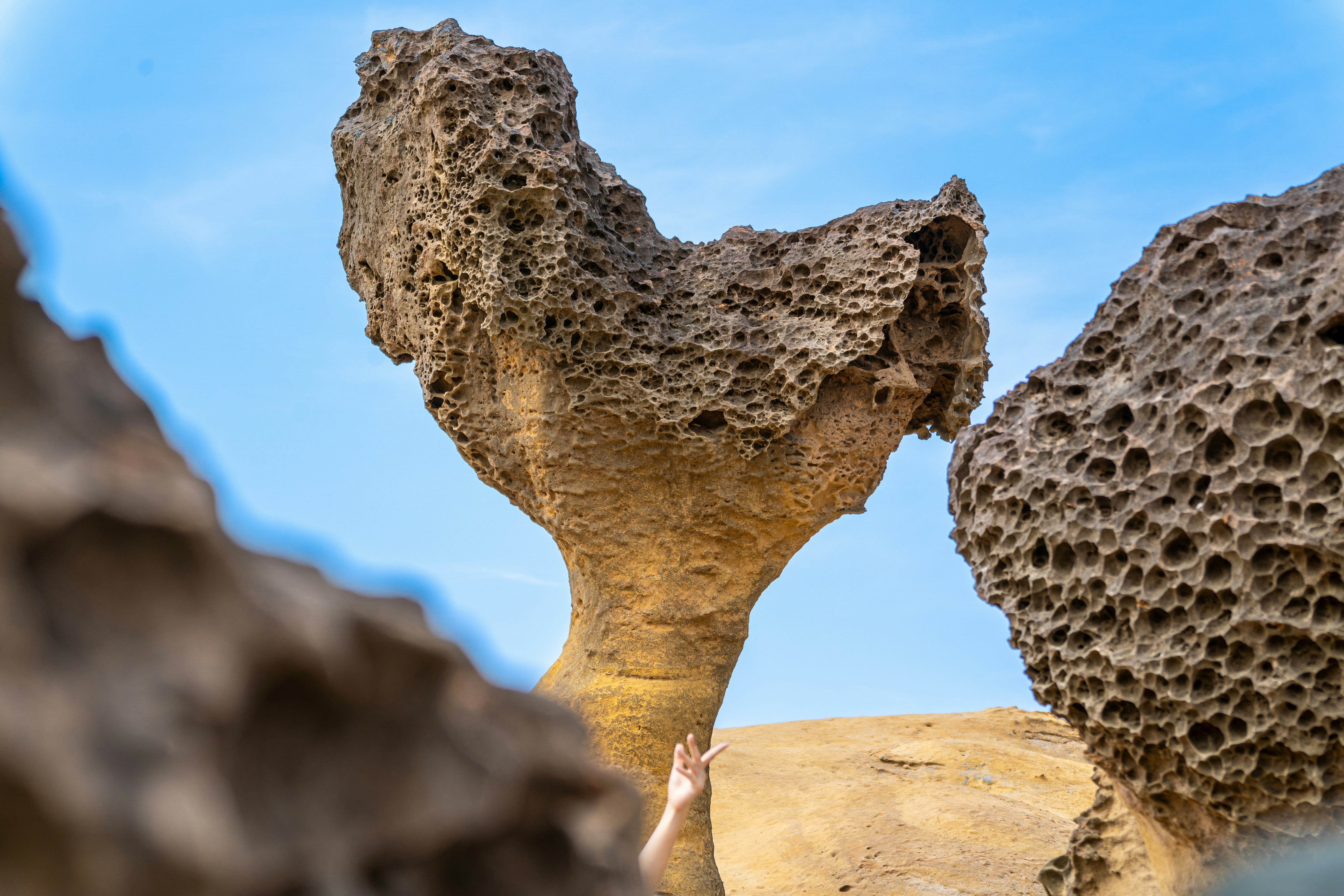 Nature's Sculpted Masterpiece