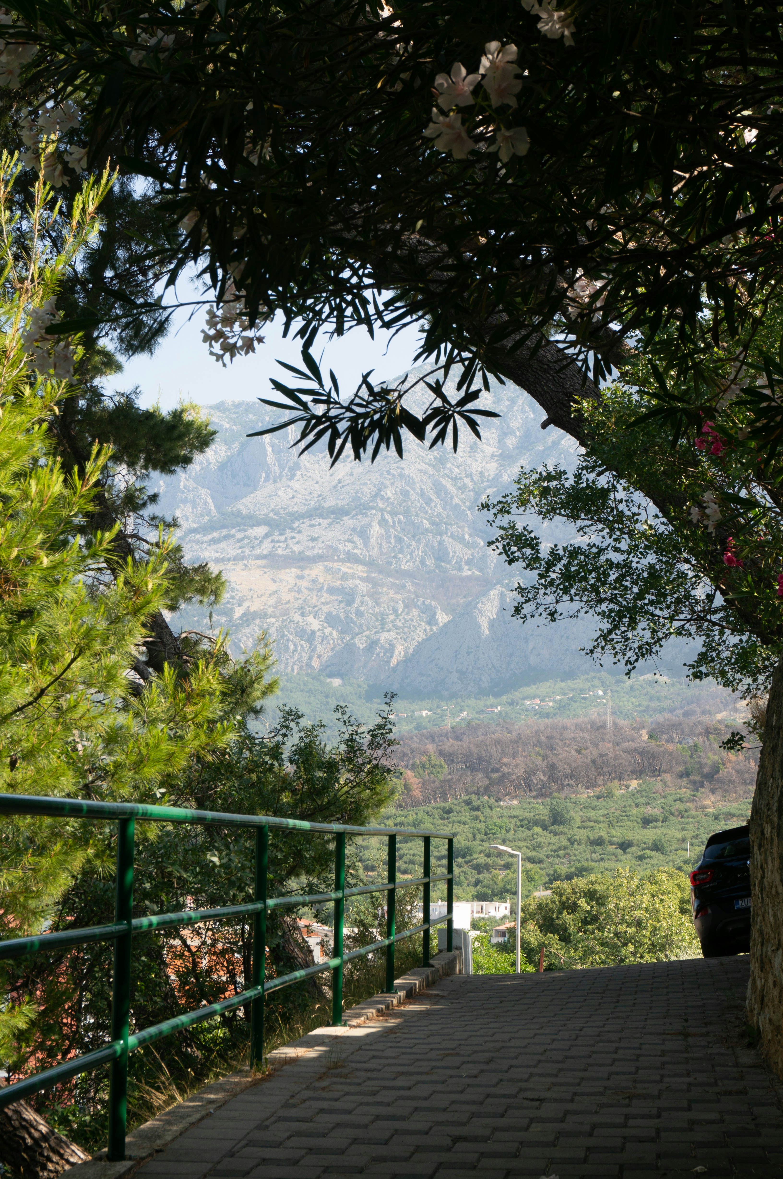 Serene Pathway to Majestic Mountains