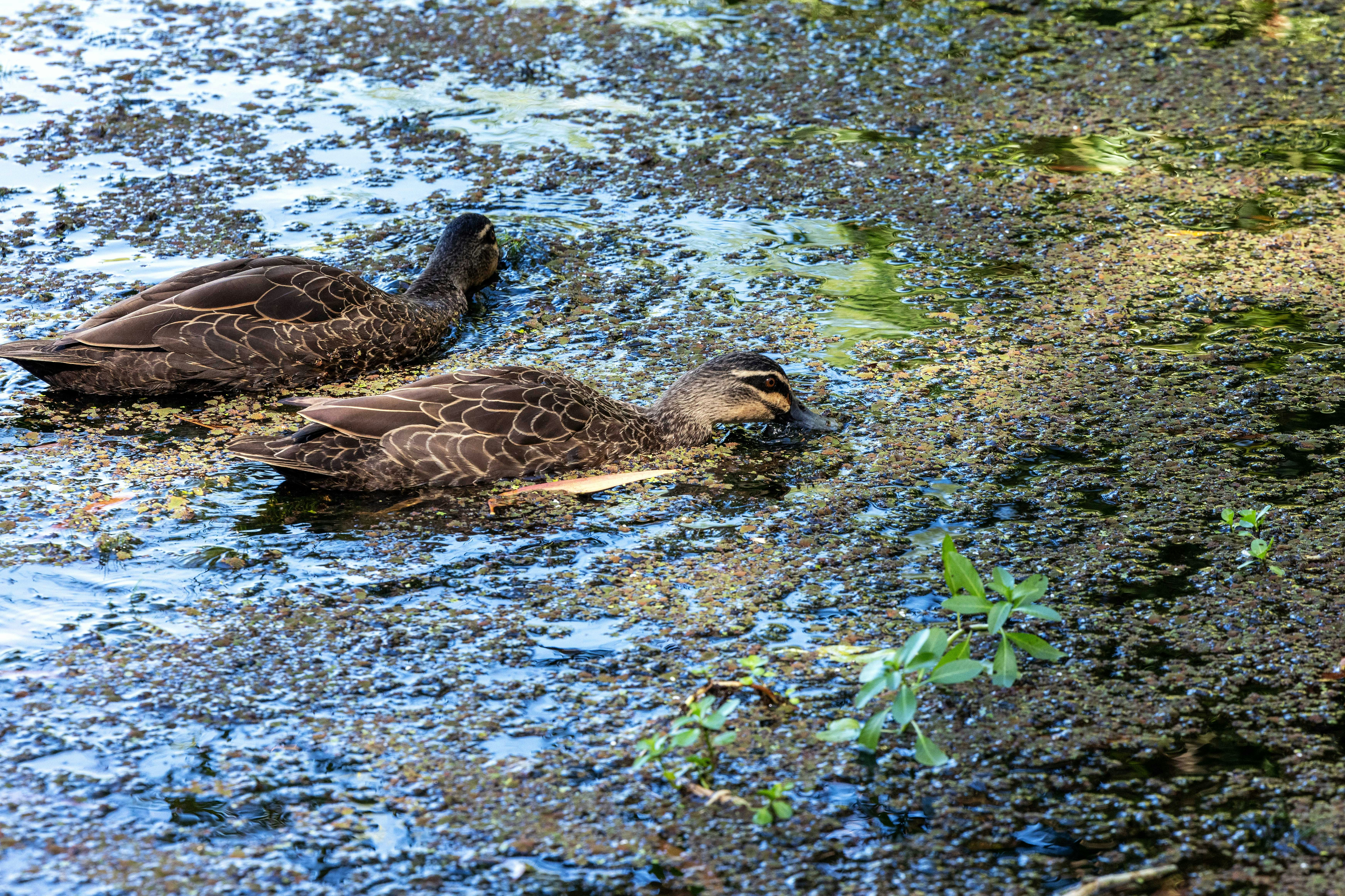 David Clode (@davidclode) | Unsplash Photo Community