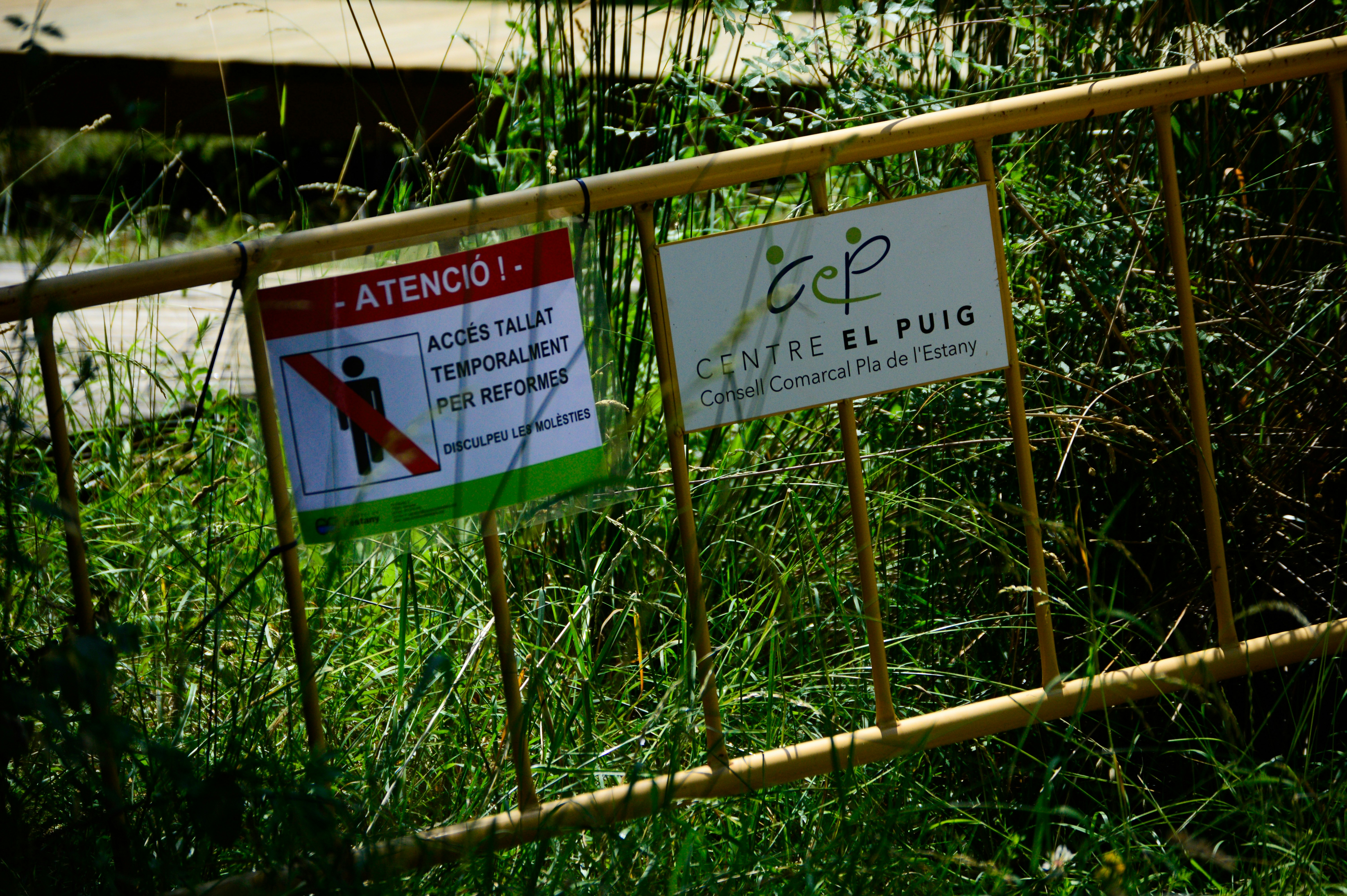 Caution Signs on a Sunlit Barrier Amid Tall Grass