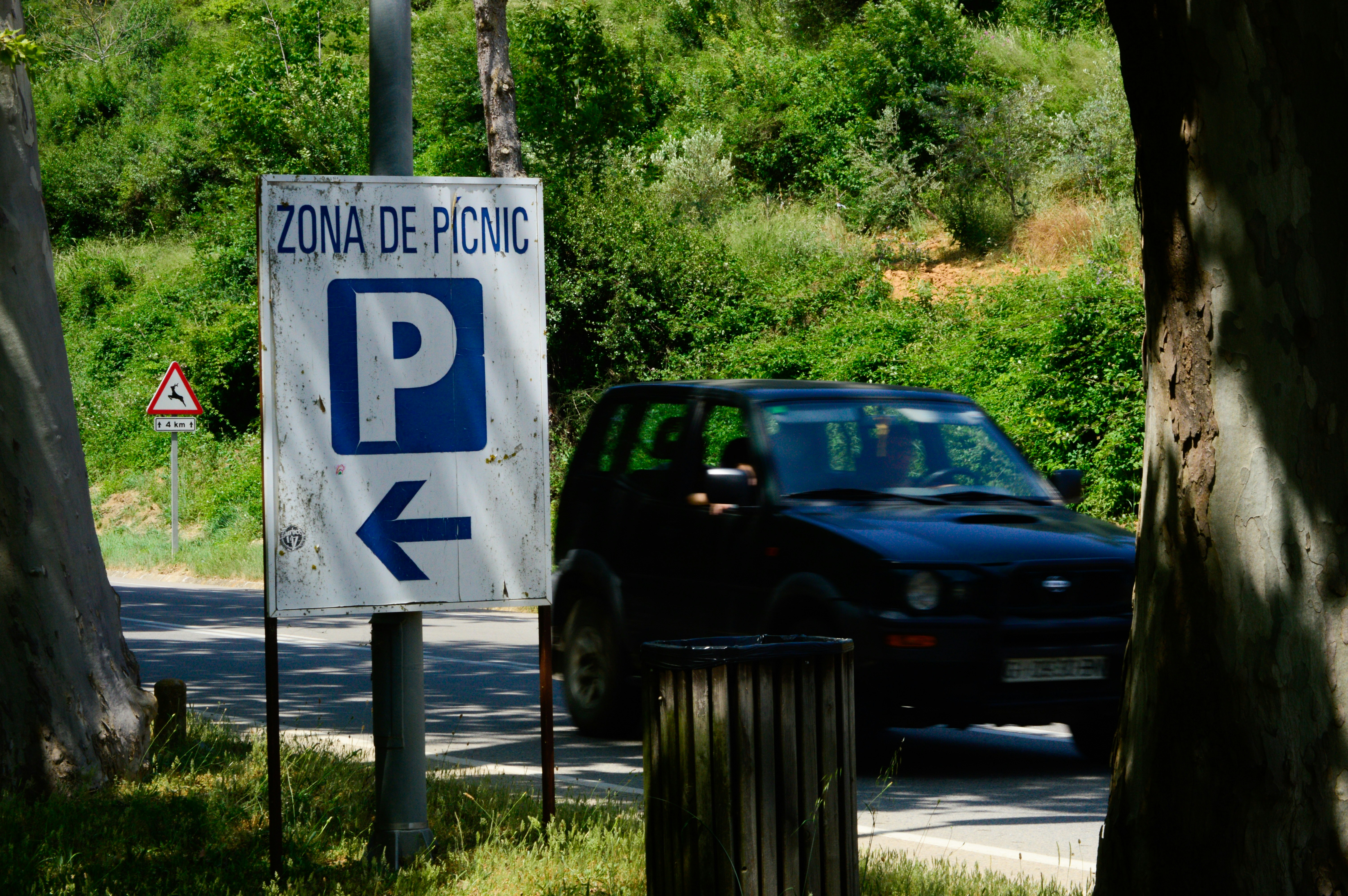 Guiding the Way to Leisure: The Picnic Zone Sign