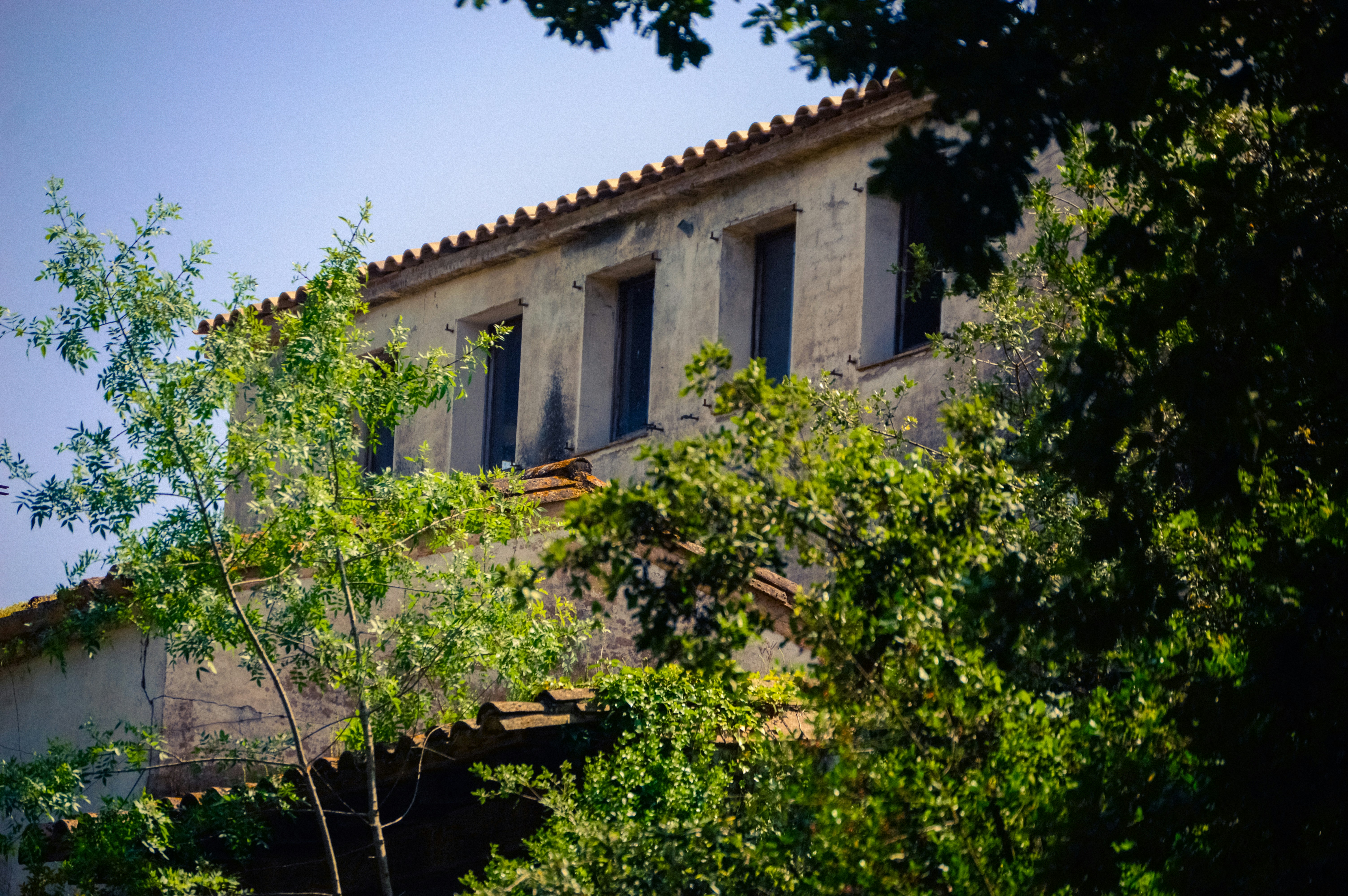 Abandoned building partially obscured by lush greenery, showcasing weathered walls and empty windows. A glimpse into nature reclaiming human structures.