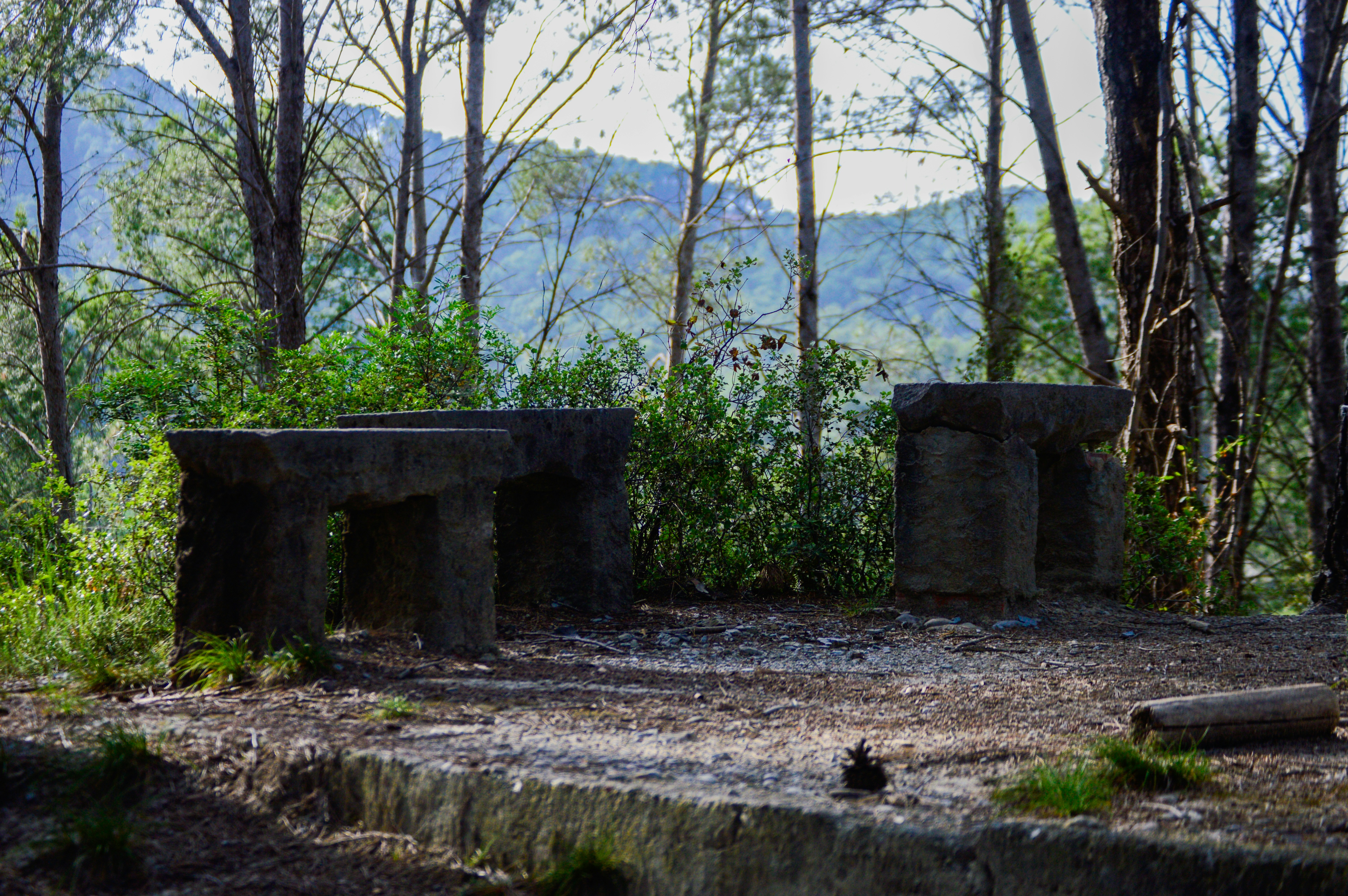 Concrete tables sit in a clearing surrounded by trees.