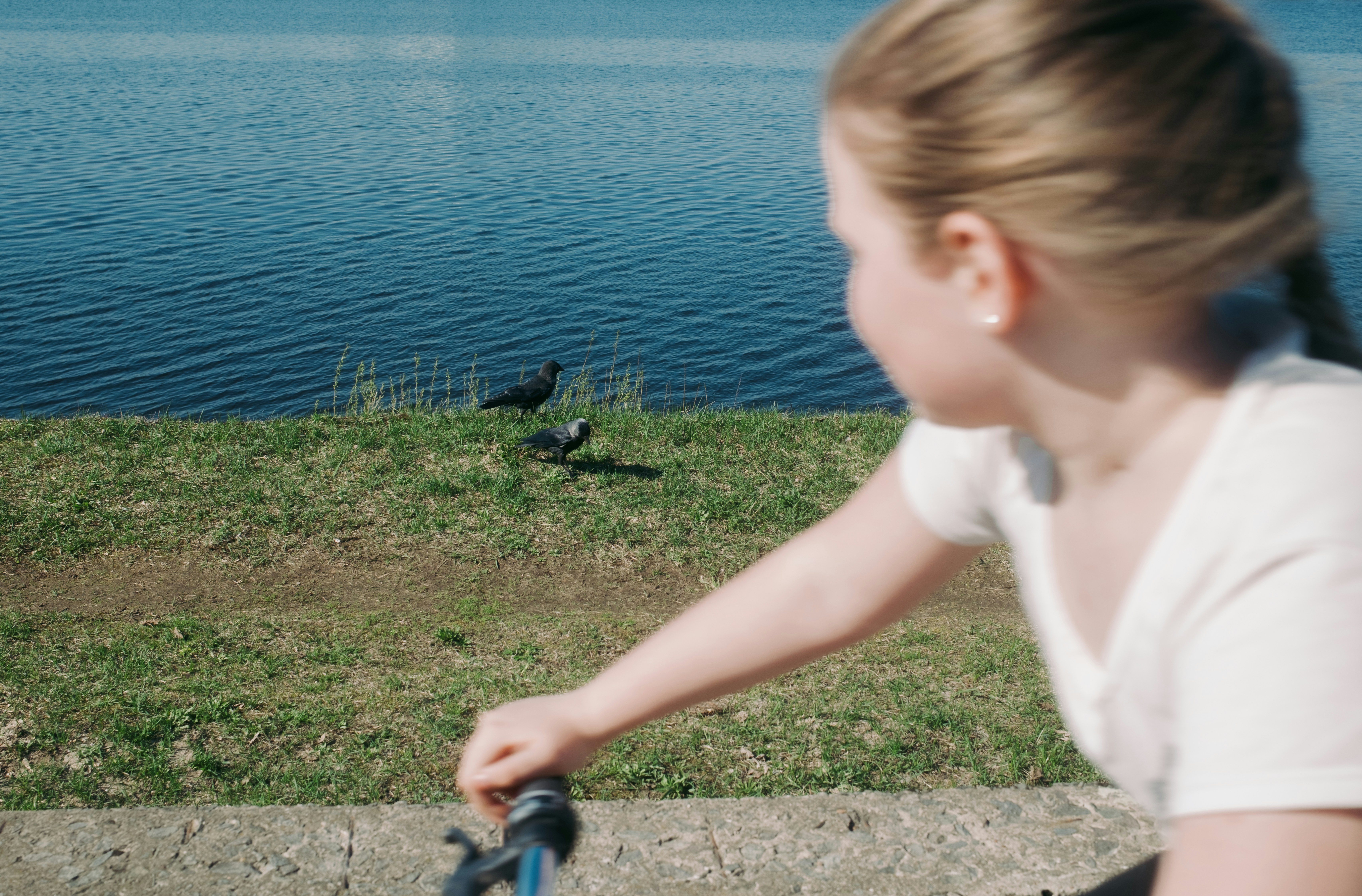 Lakeside Pause: Birds at the Waterline as a Cyclist Glides By