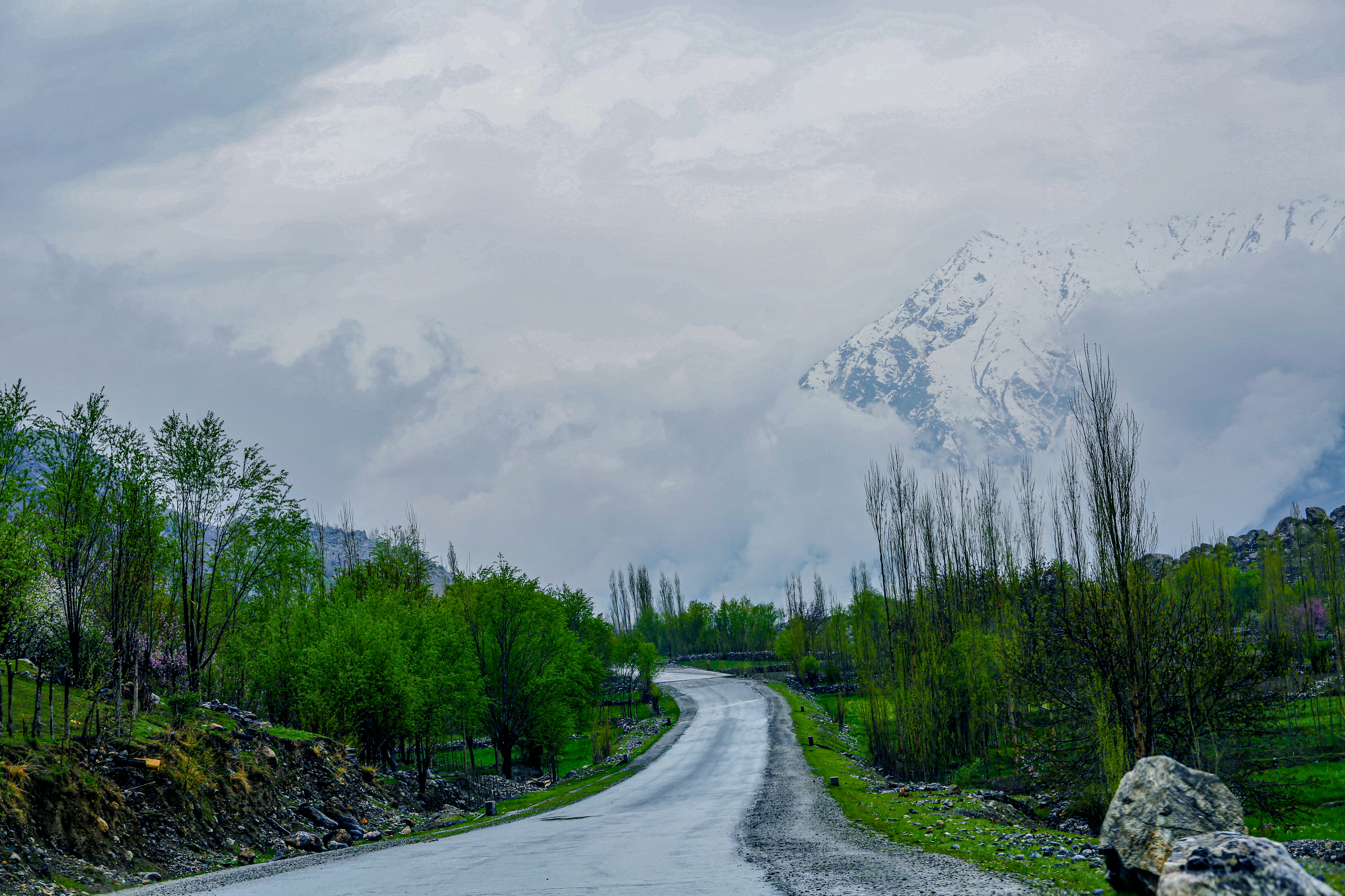 Whispers of the Mountain Road