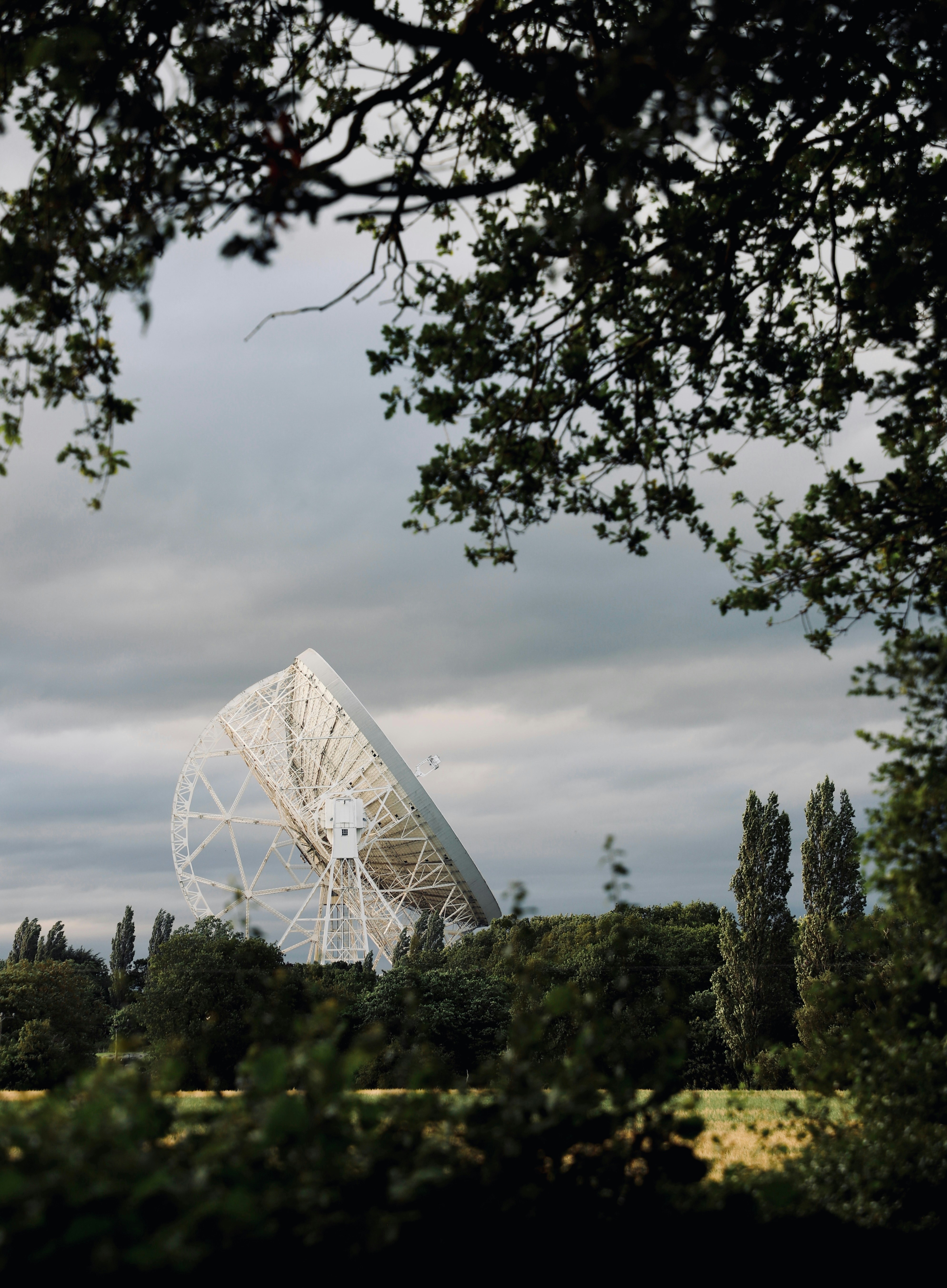 Whispers of Technology Amongst Nature