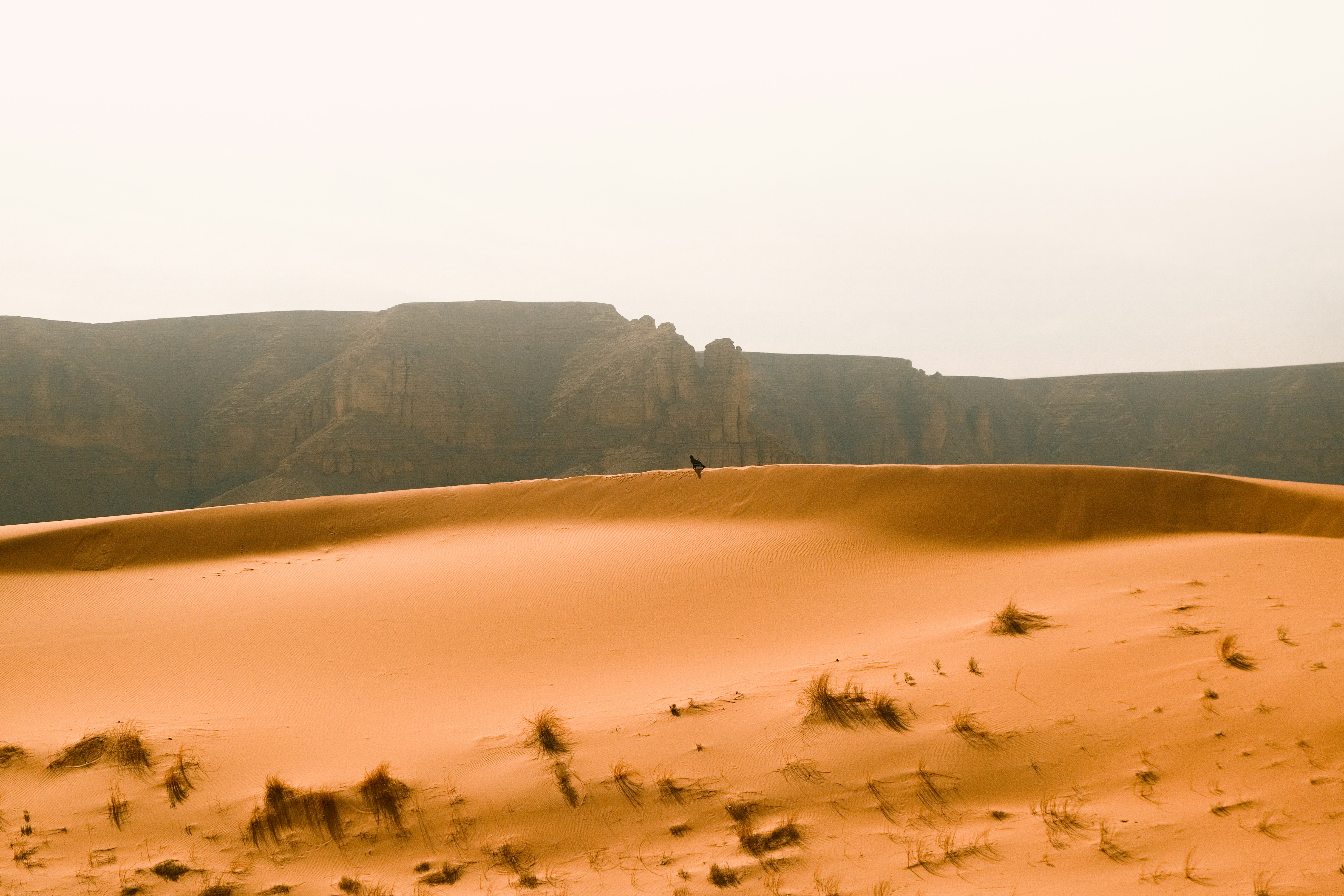 Person walks across a vast, sandy desert landscape.