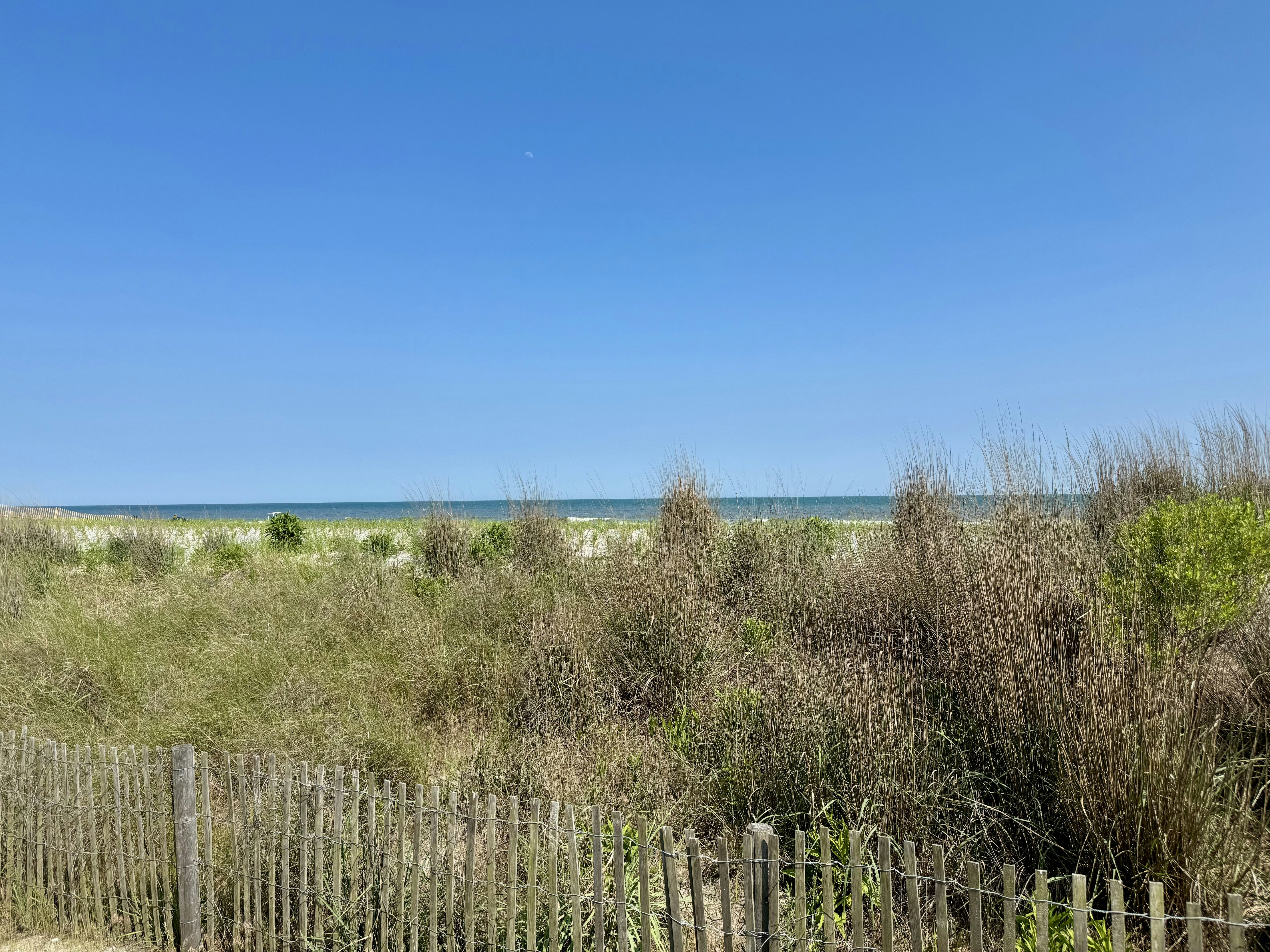 Lush coastal grass swaying gently in the breeze, framed by a wooden fence, with the tranquil ocean stretching into the horizon under a clear blue sky.