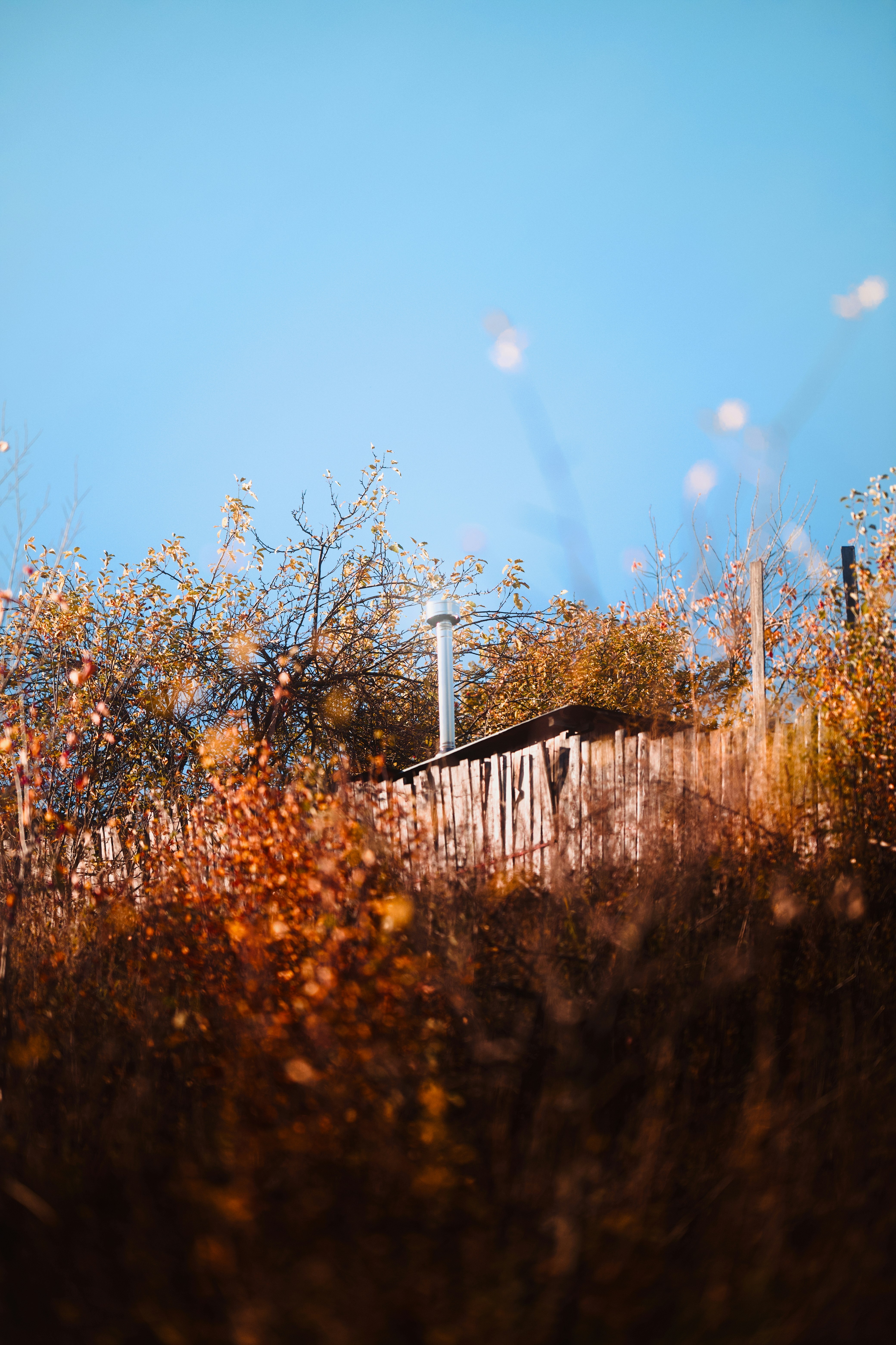 Copper Leaves and a Quiet Shed Under a Wide Blue Sky