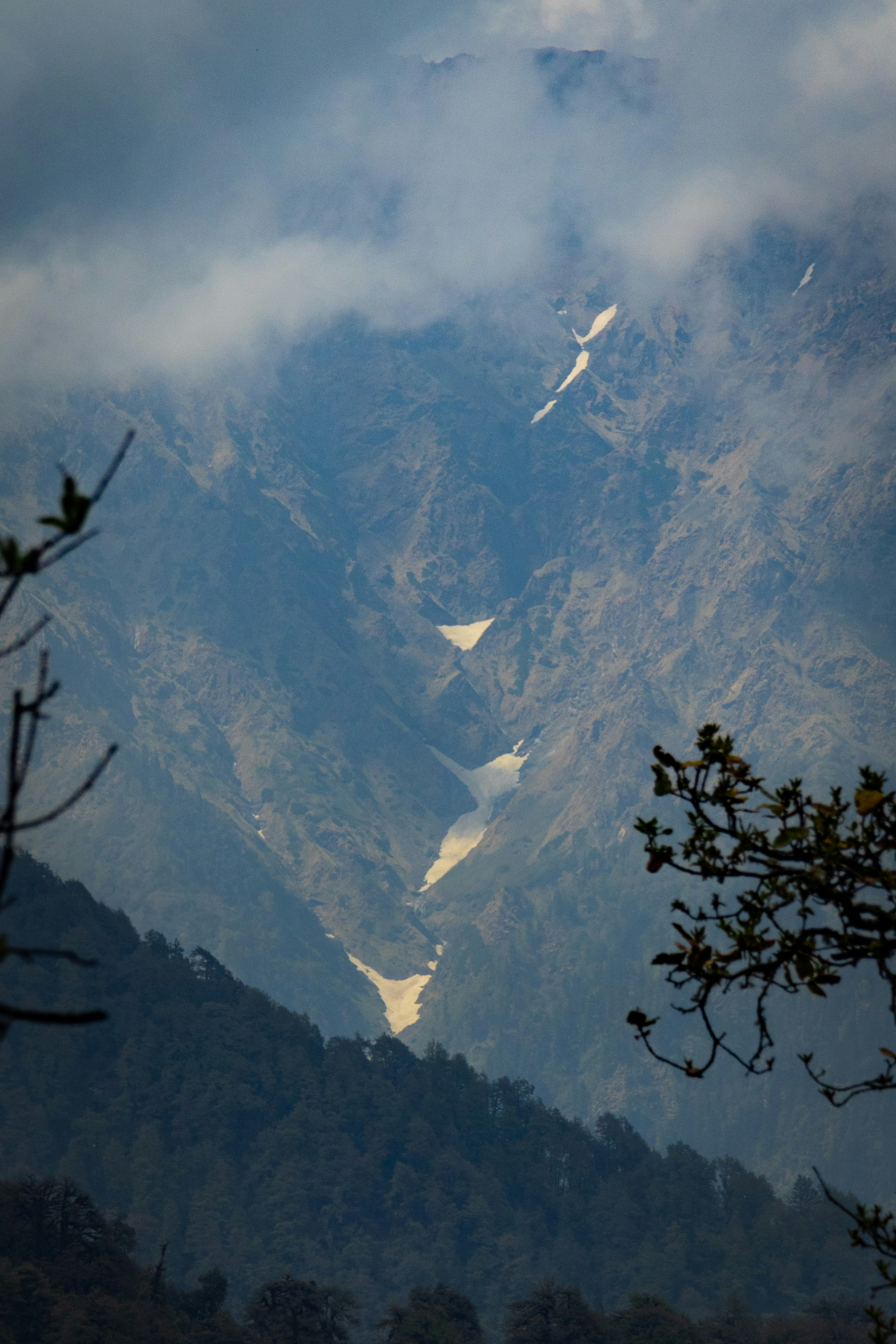 Whispers of the Mountain Valley