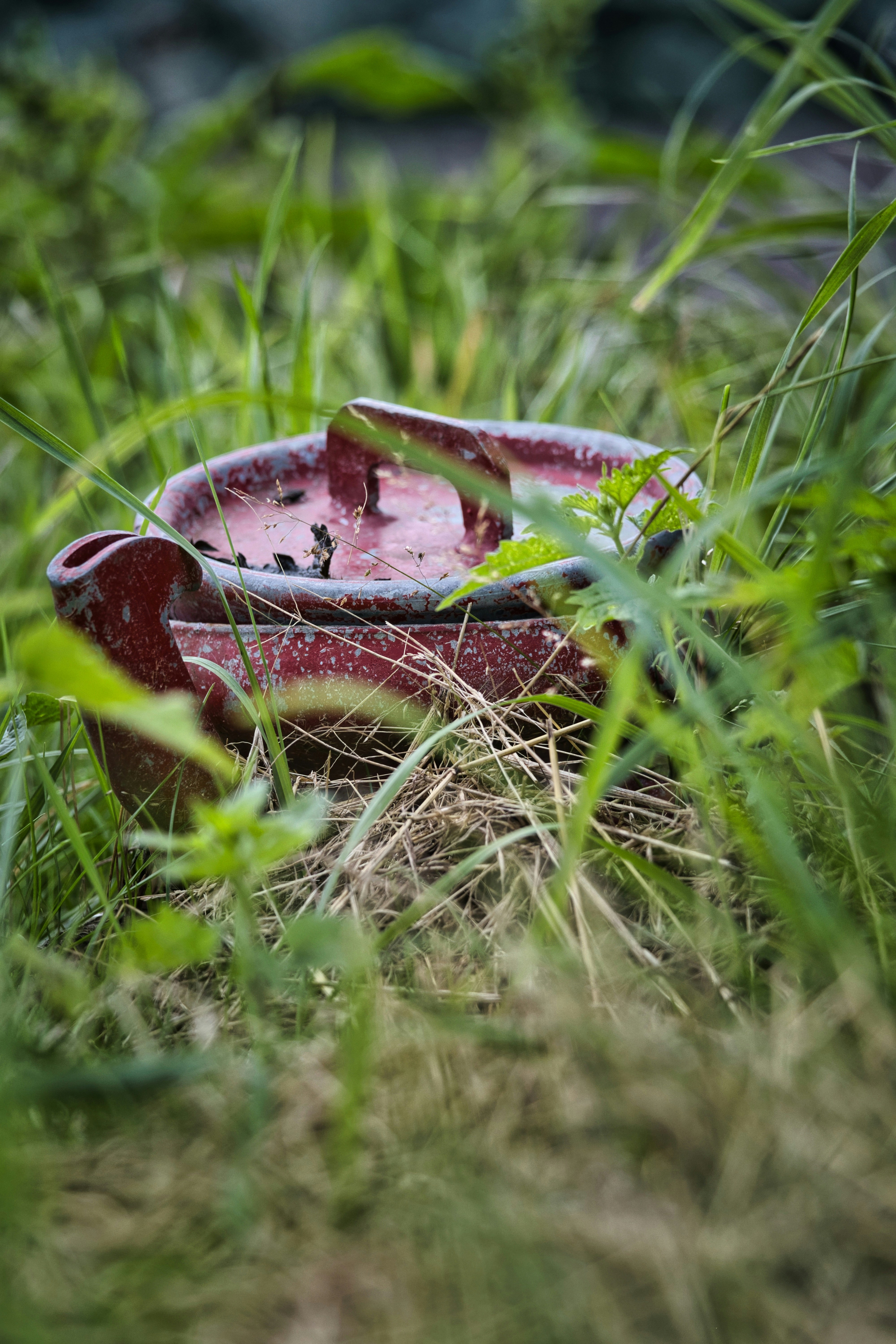 Nature's Forgotten Artifact