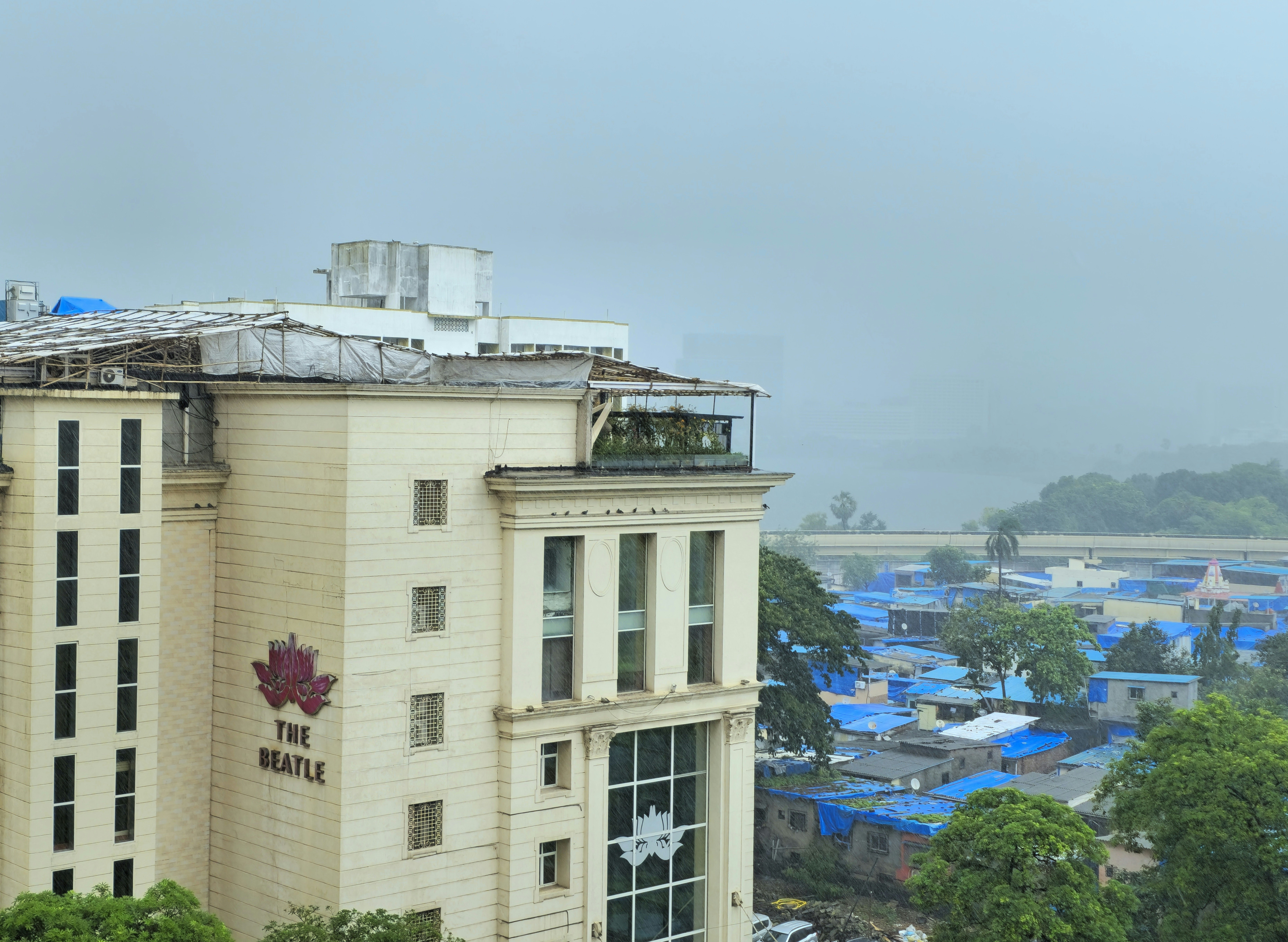 Urban Oasis Amidst the Mist