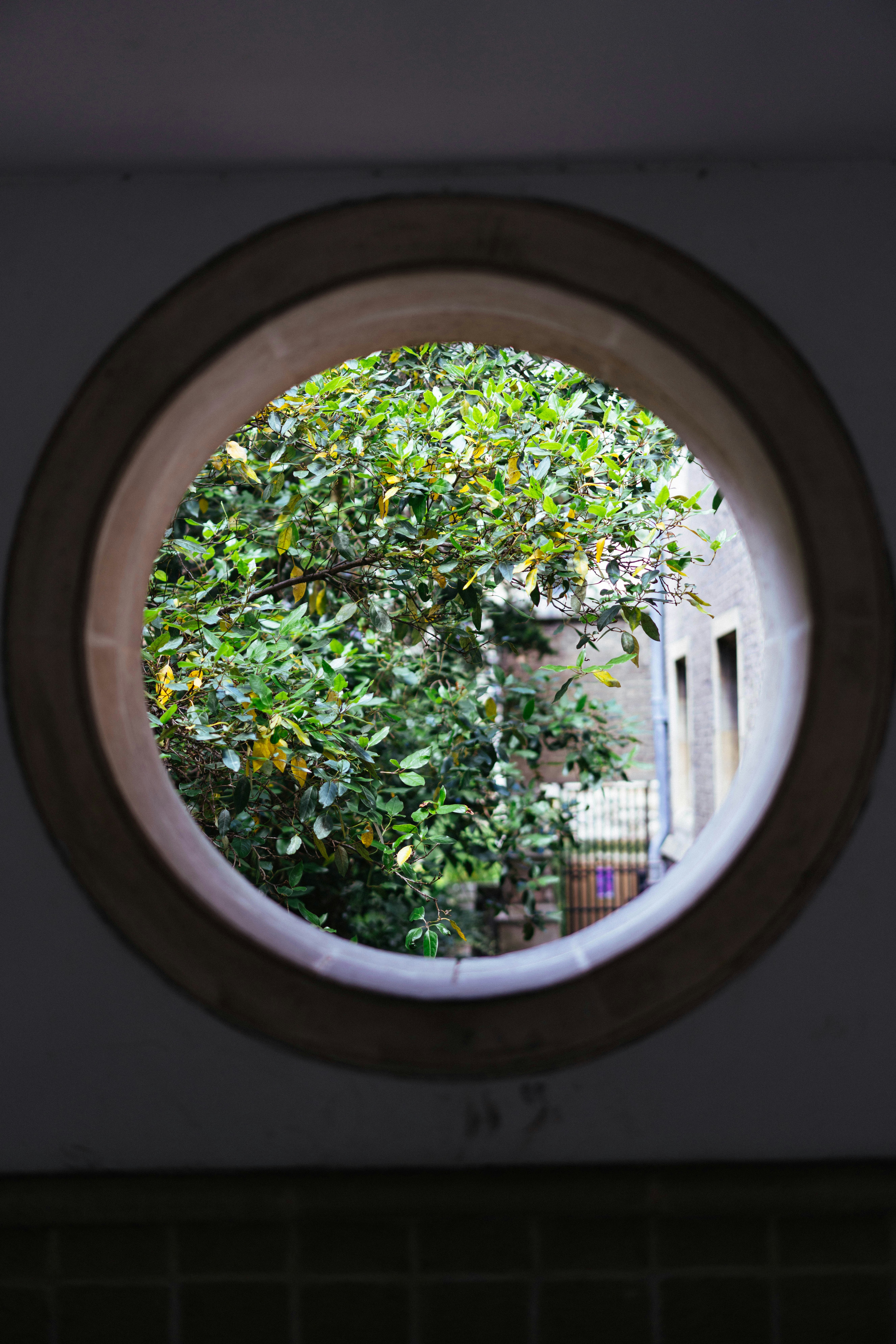 A round window frames lush greenery outside. photo – Free Window Image ...