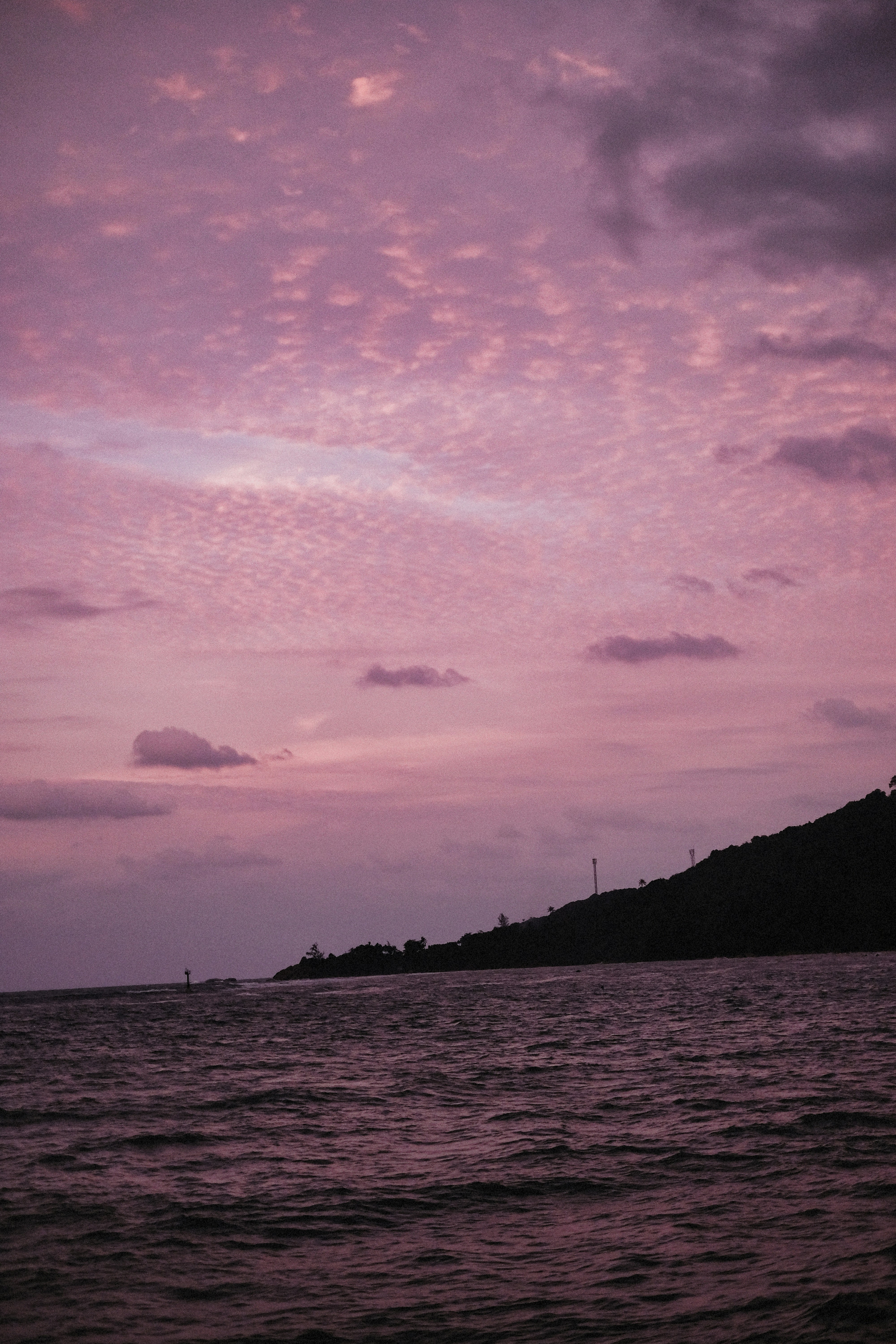 Pink sunset over the water and silhouette.