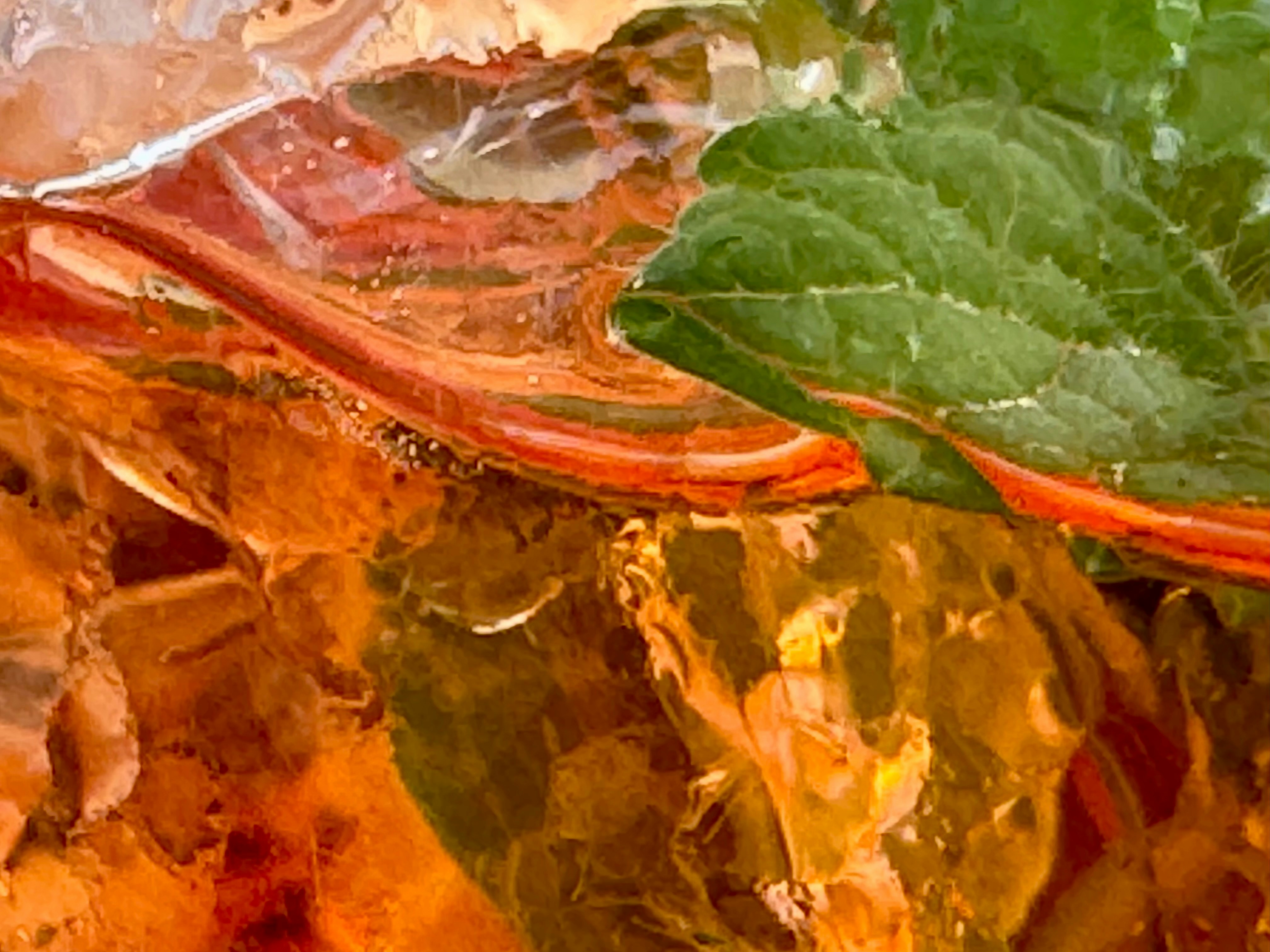 Summercolour Orange 2