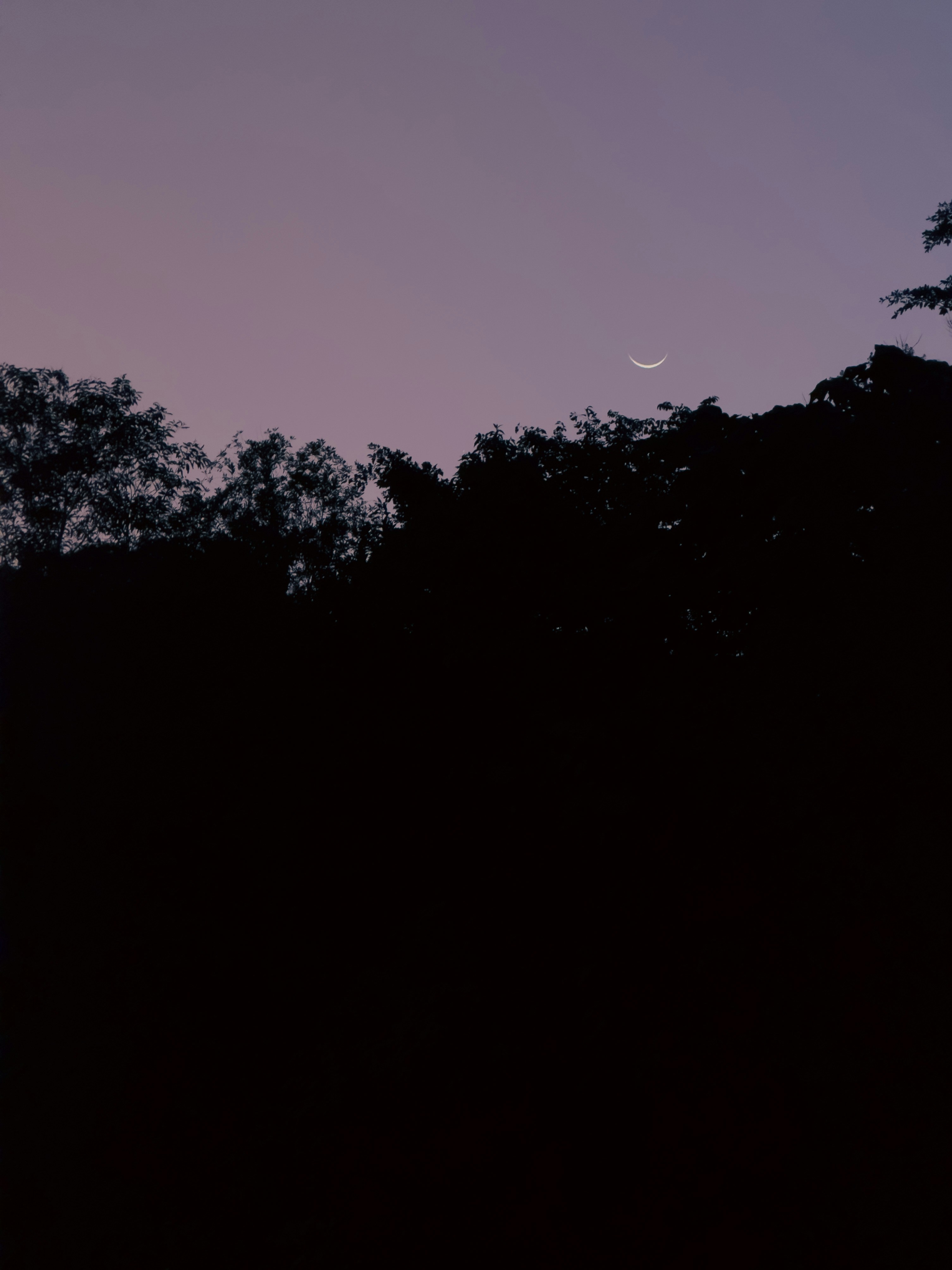 Crescent moon over silhouetted trees in dusk.