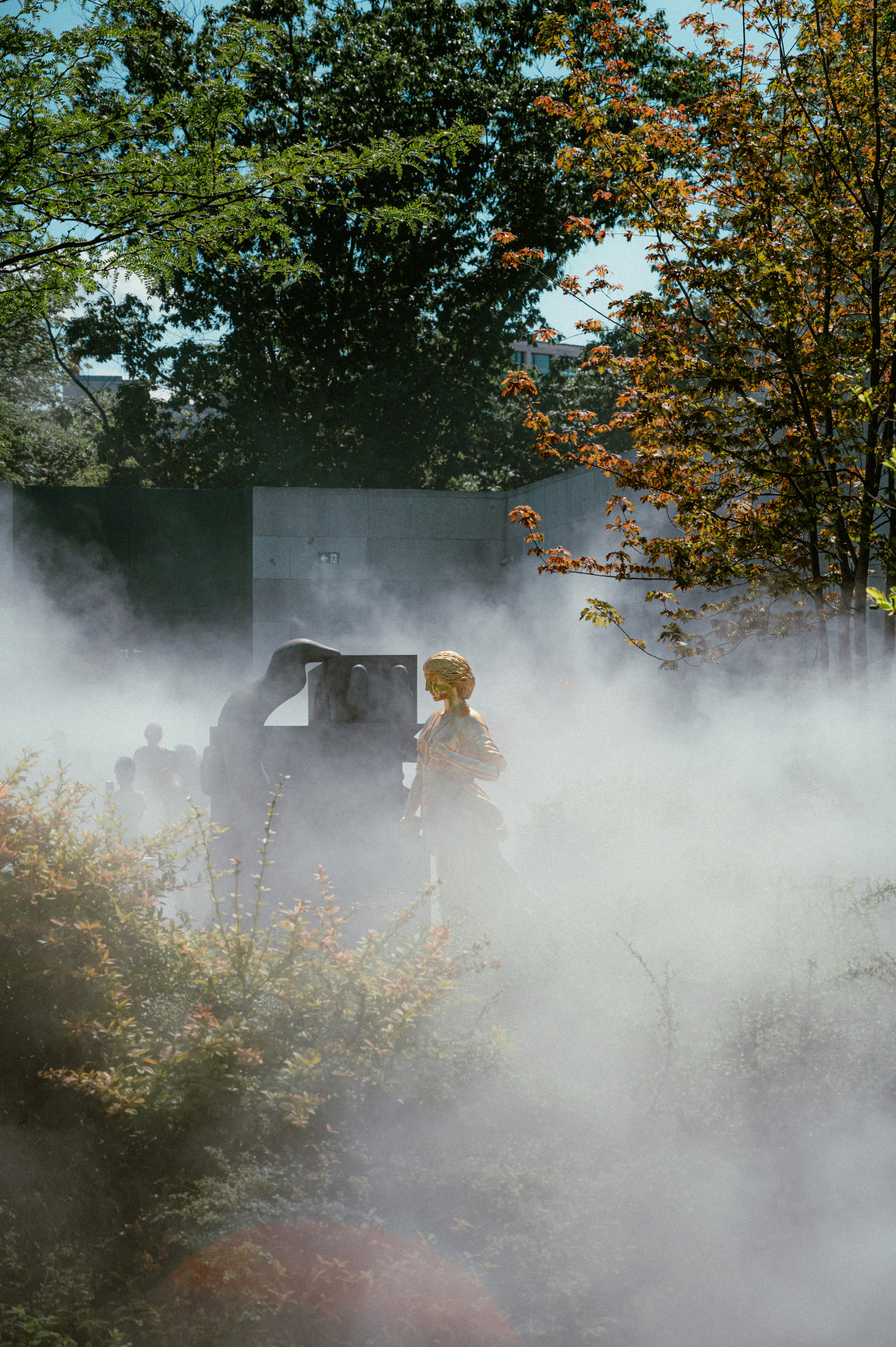 Foggy Figure: A Silhouette in the Smoke