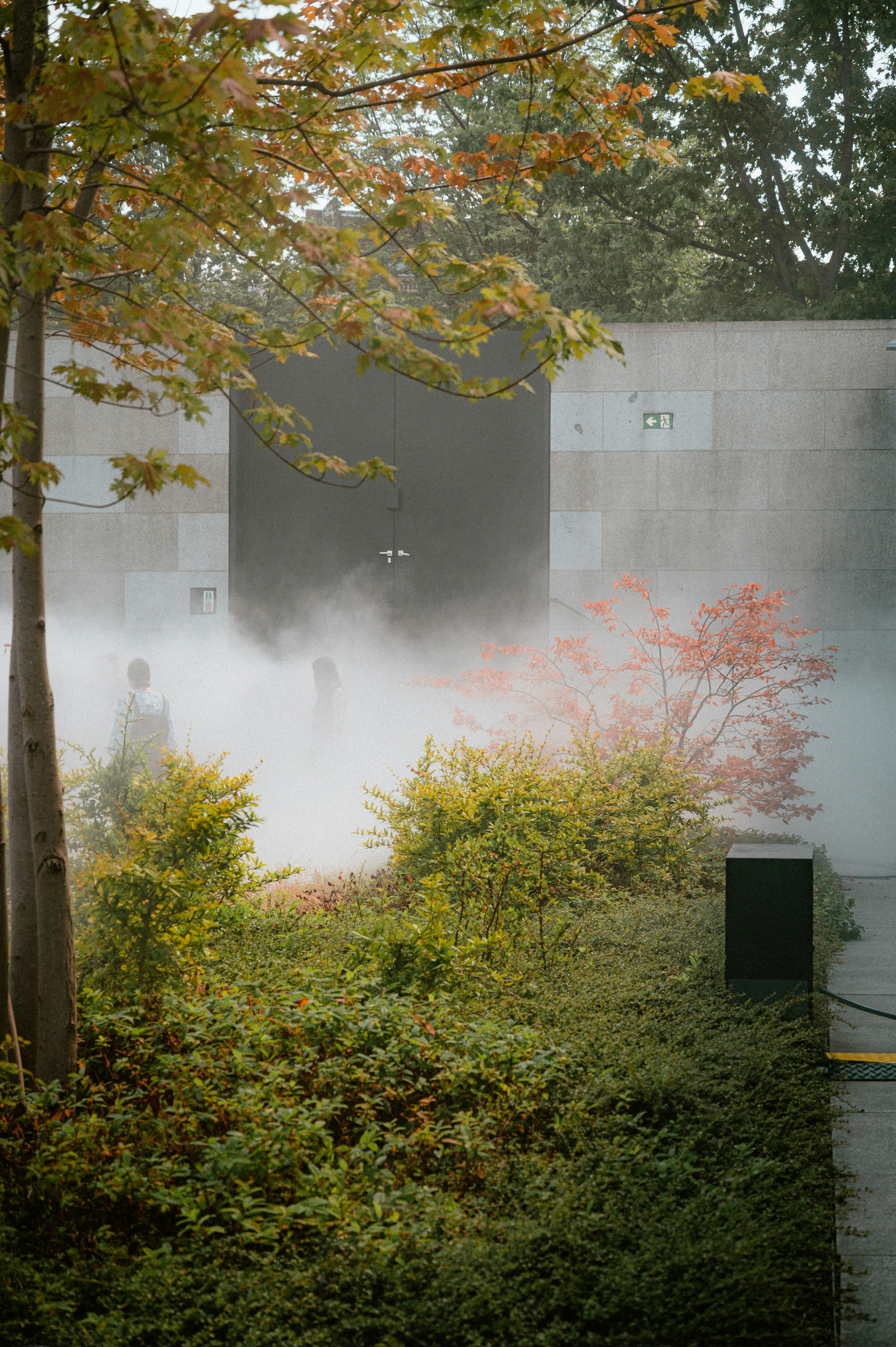 Mist at the Atrium Gate