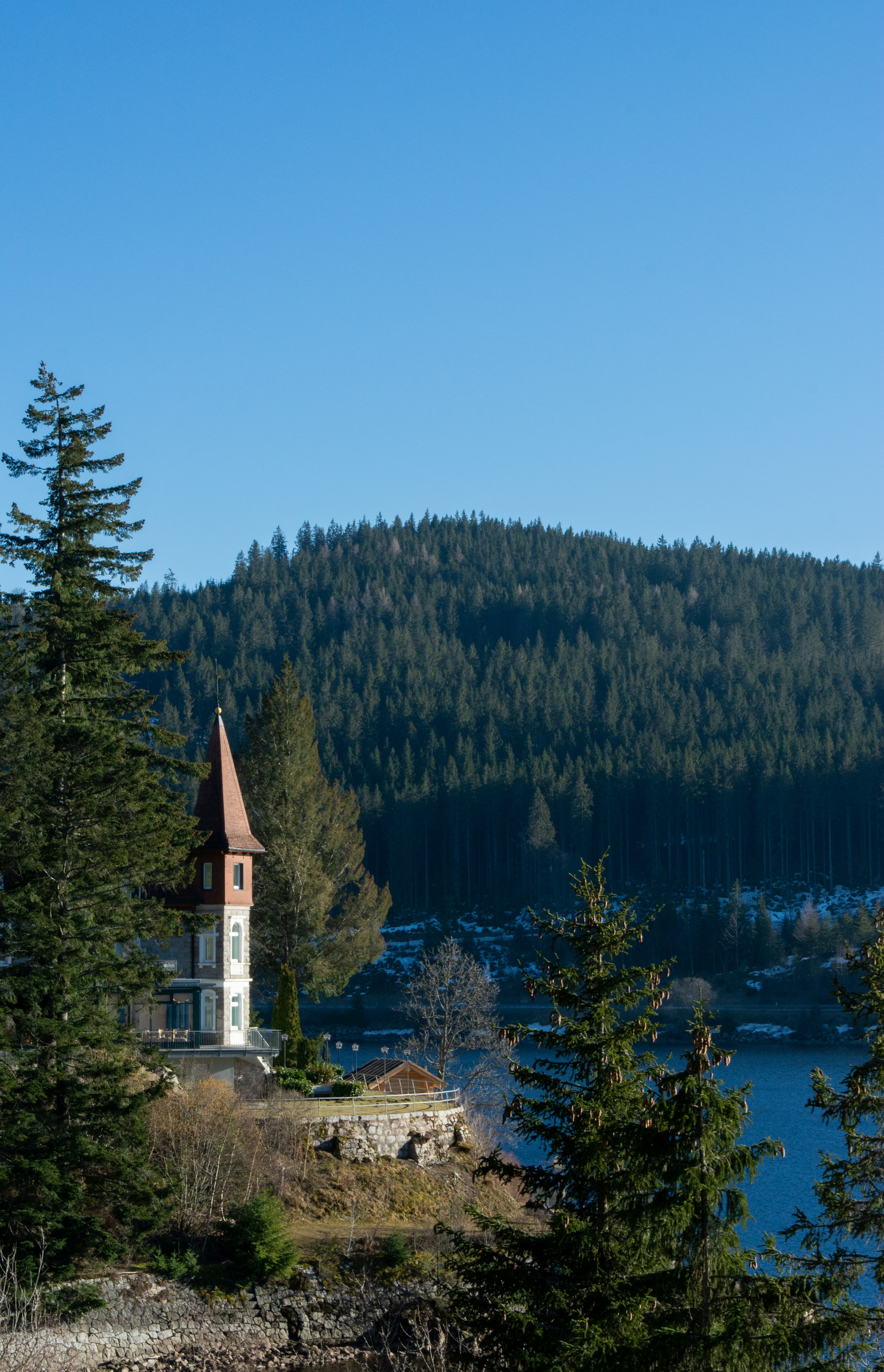 Charming lakeside house framed by towering evergreens, with a backdrop of rolling hills under a clear blue sky.
