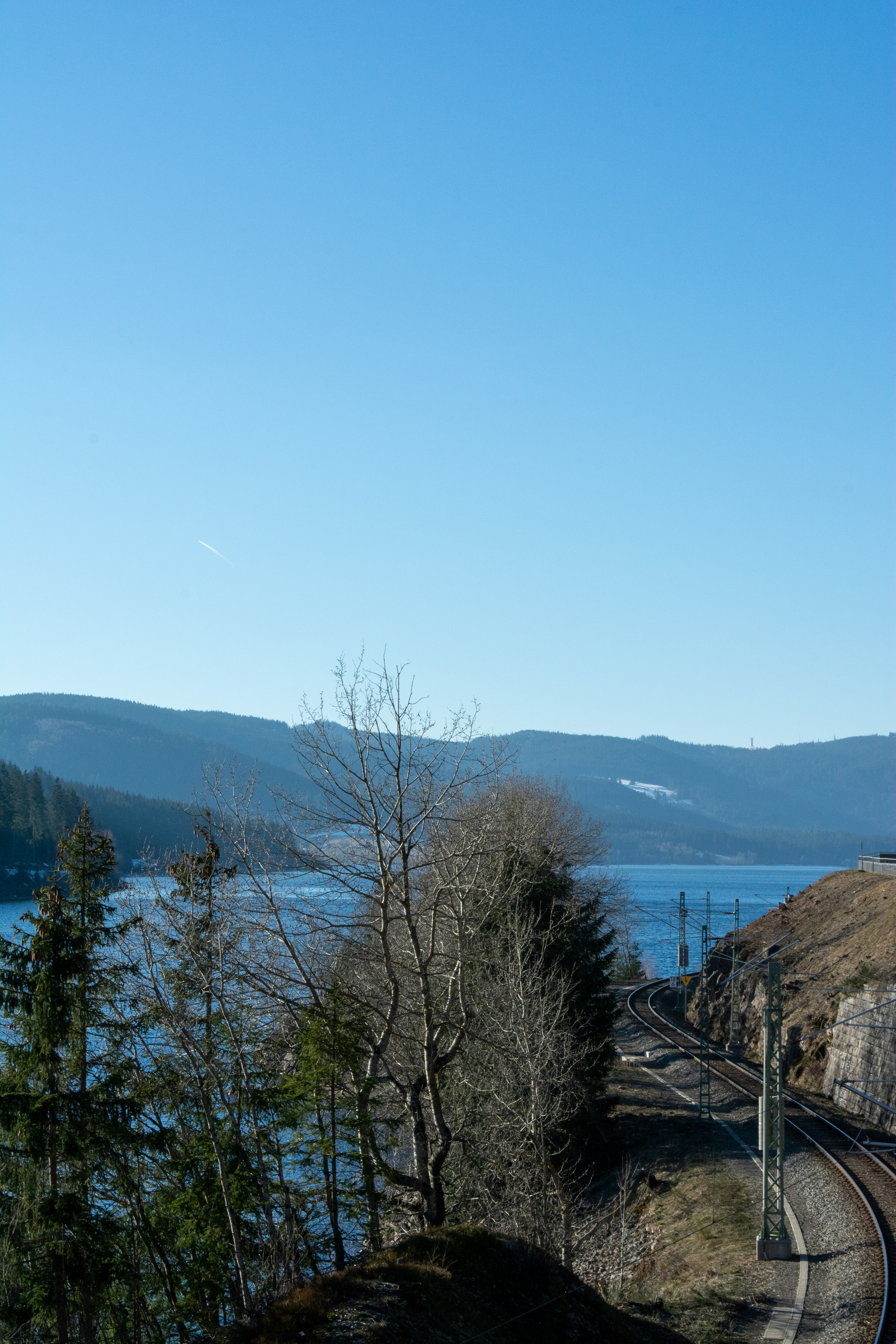 Winding Tracks by the Tranquil Waters