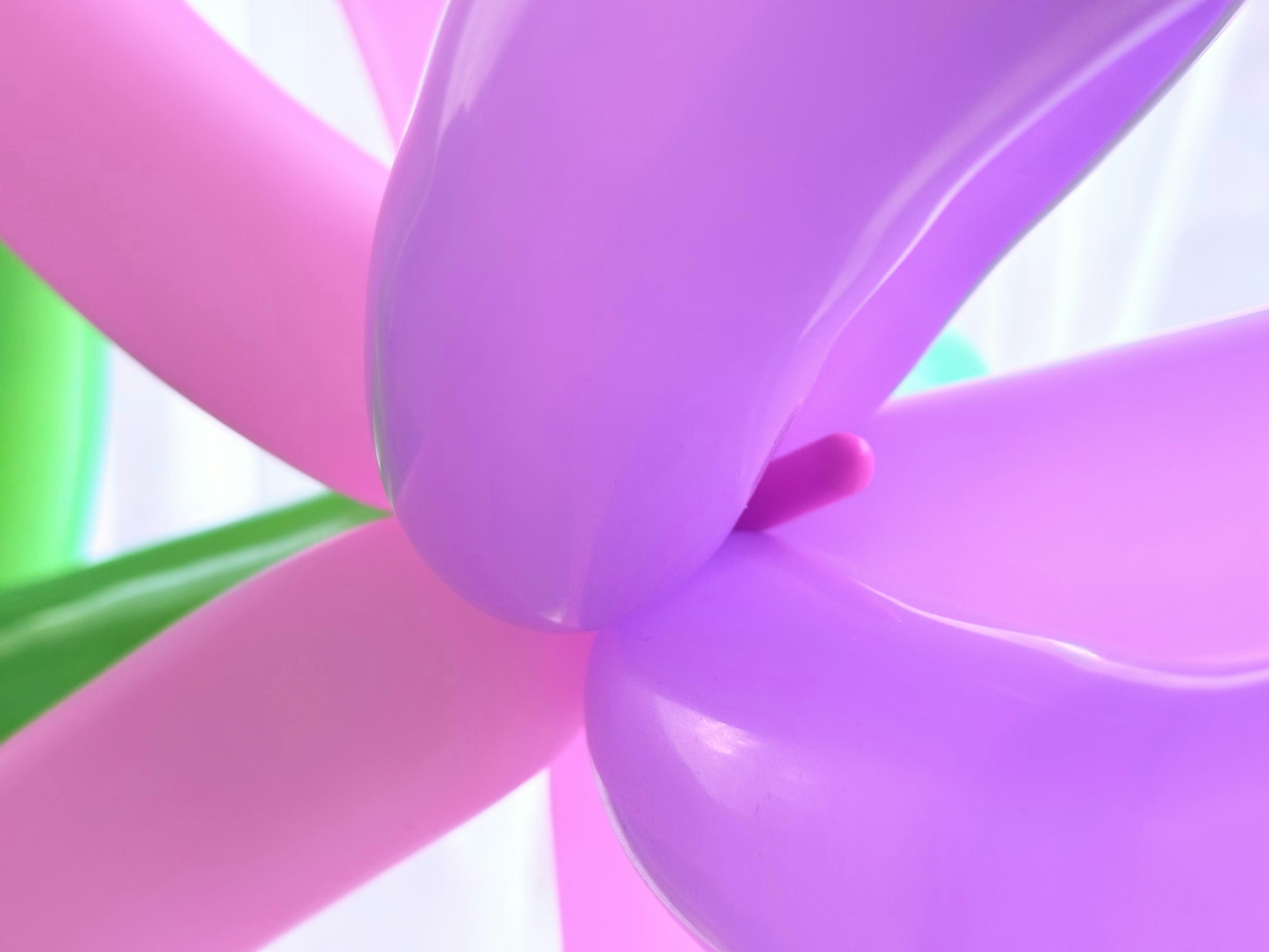 Balloons are twisted to form a colorful design.