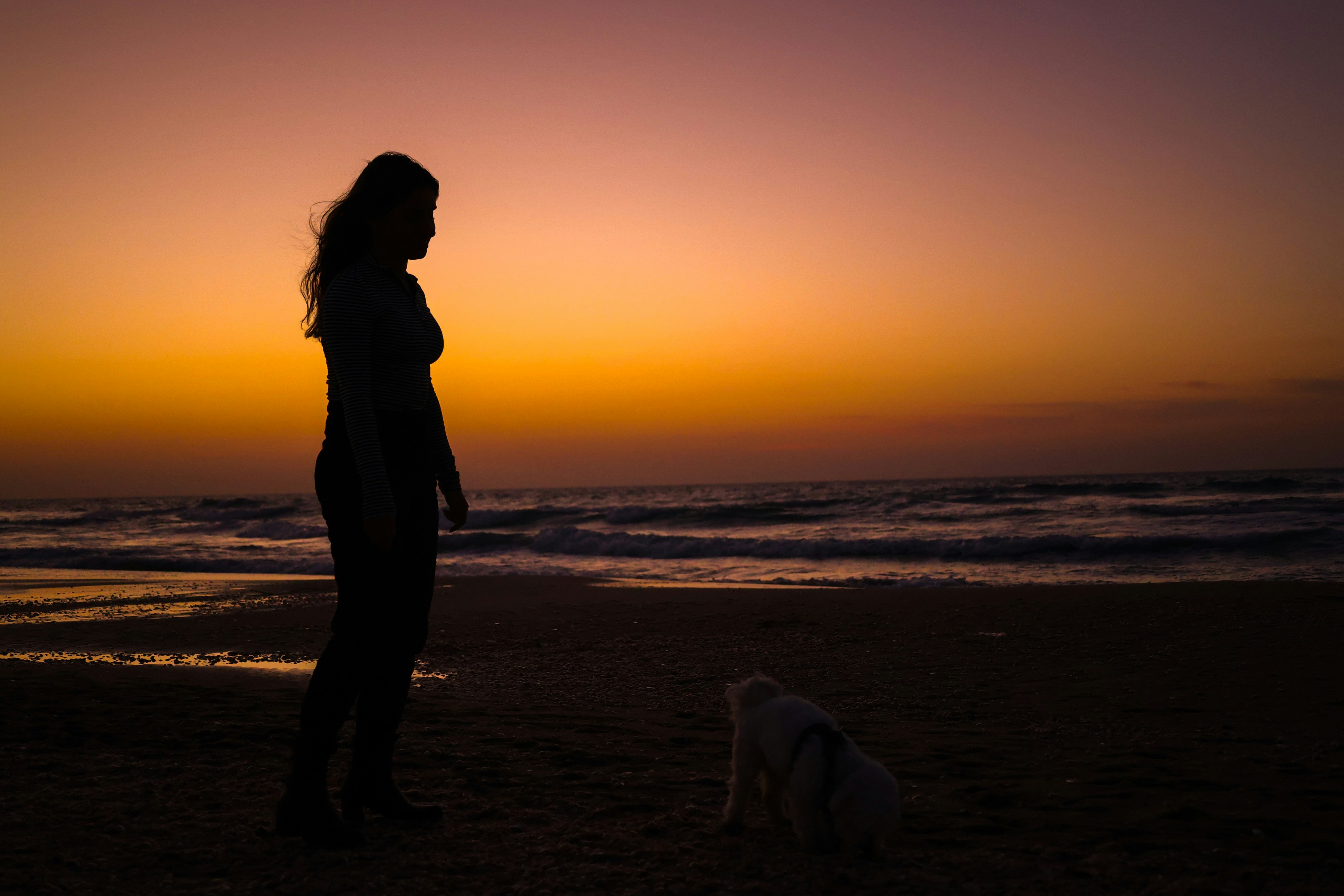 Twilight Reflections: A Moment at the Shore