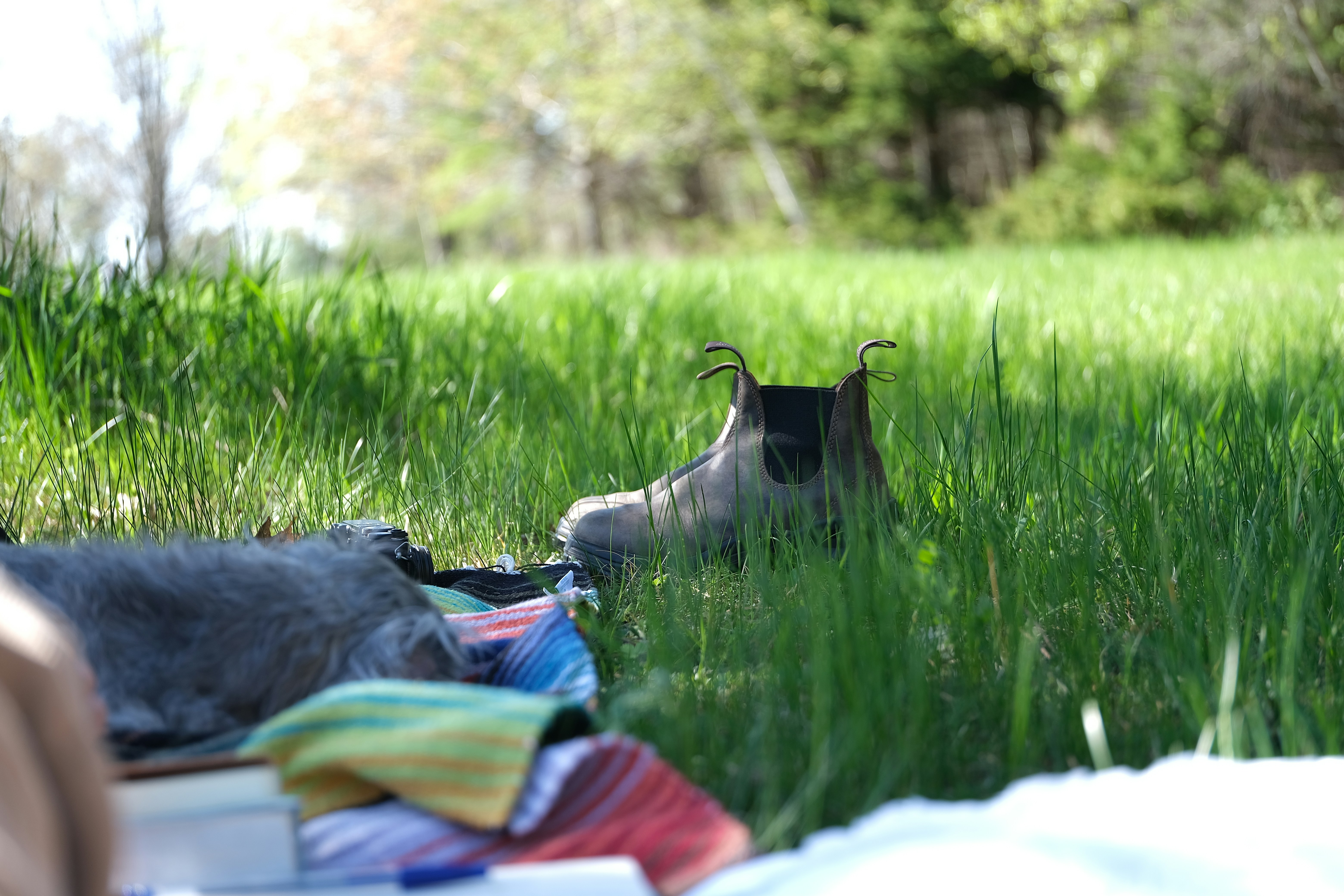 Photo by Zahraa Hassan with Fujifilm X-T4