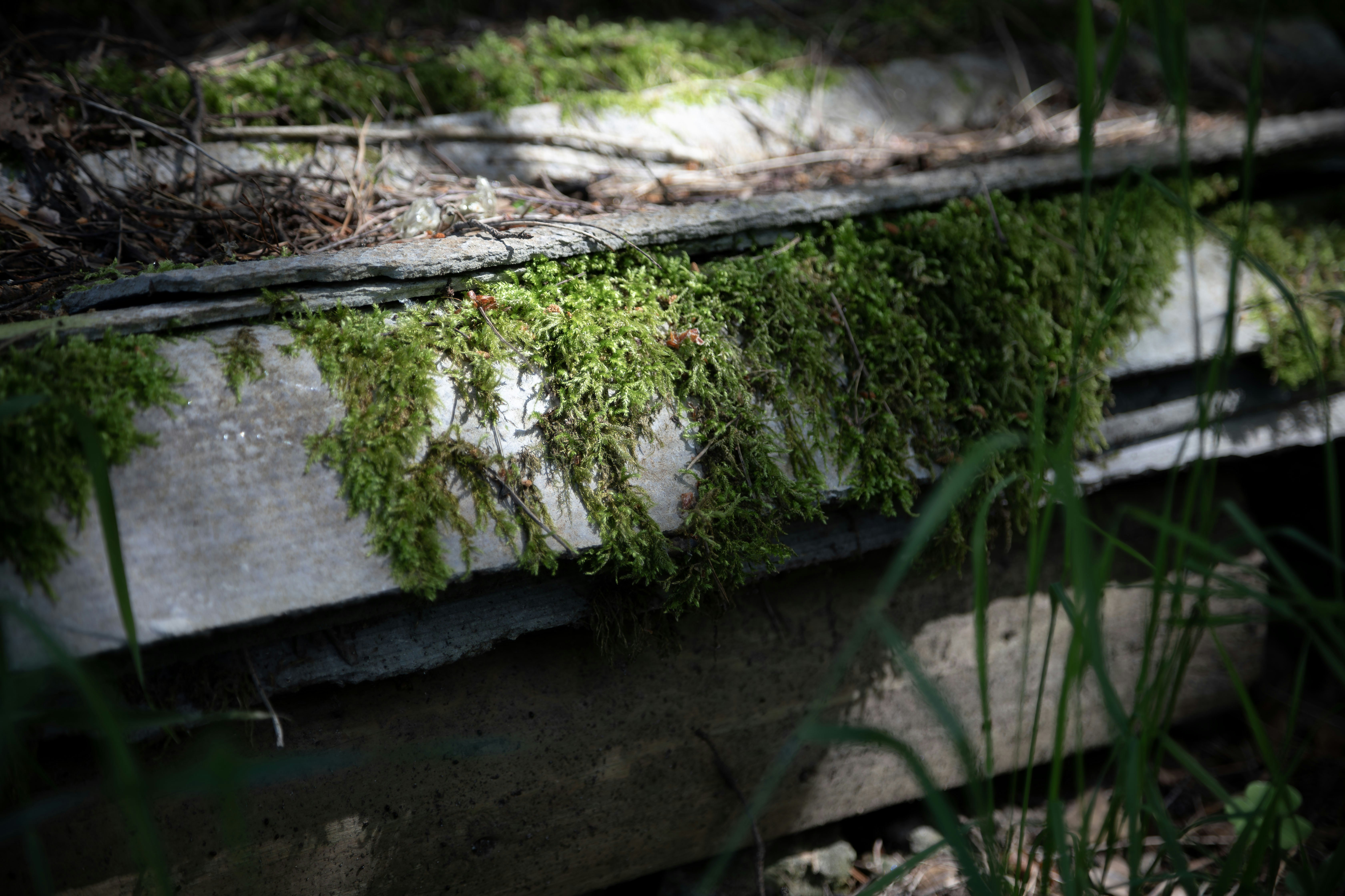 Photo by Belov Sergey with Canon EOS 5D Mark IV