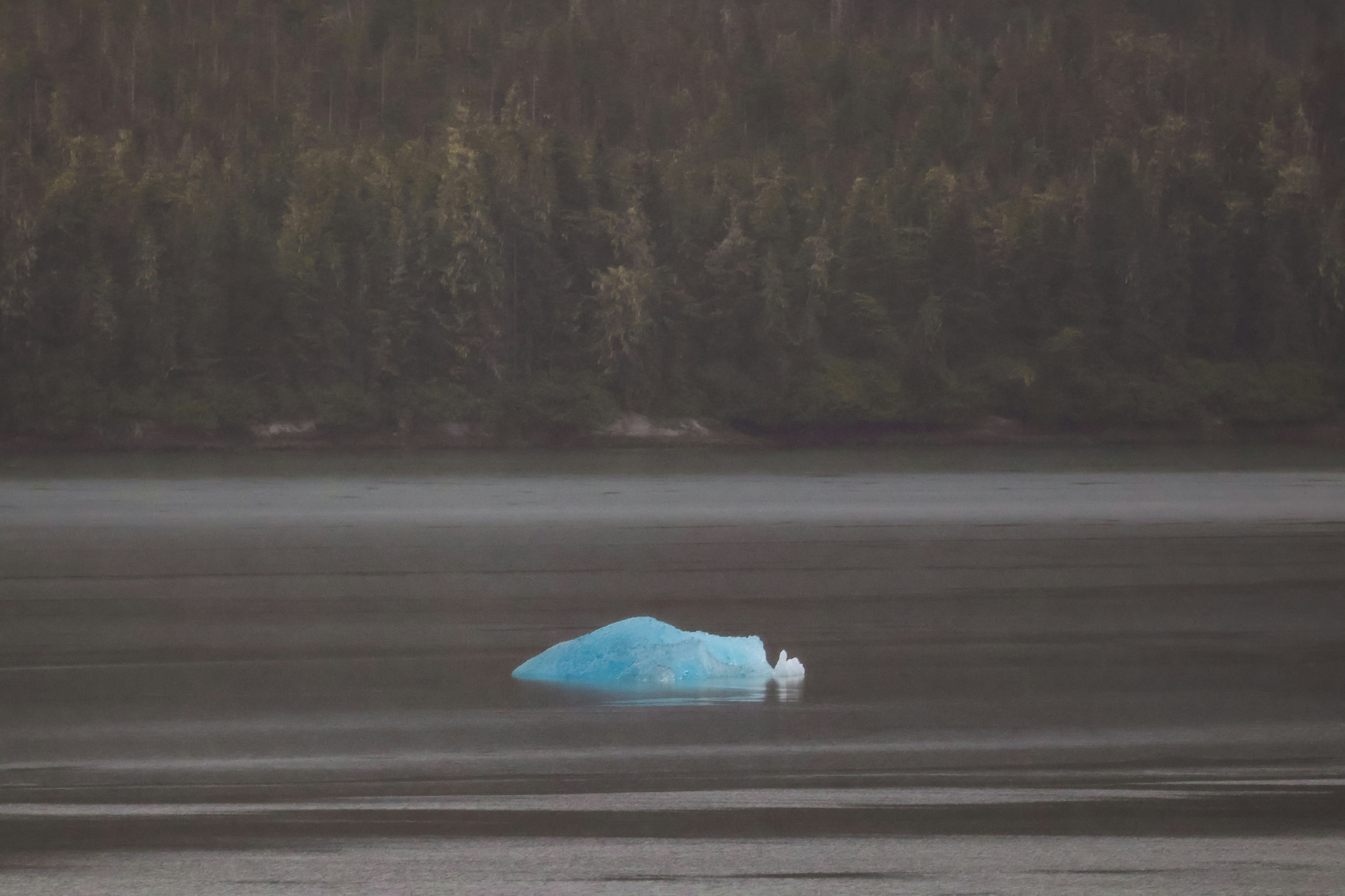 Glacial Remnant in Tranquil Waters