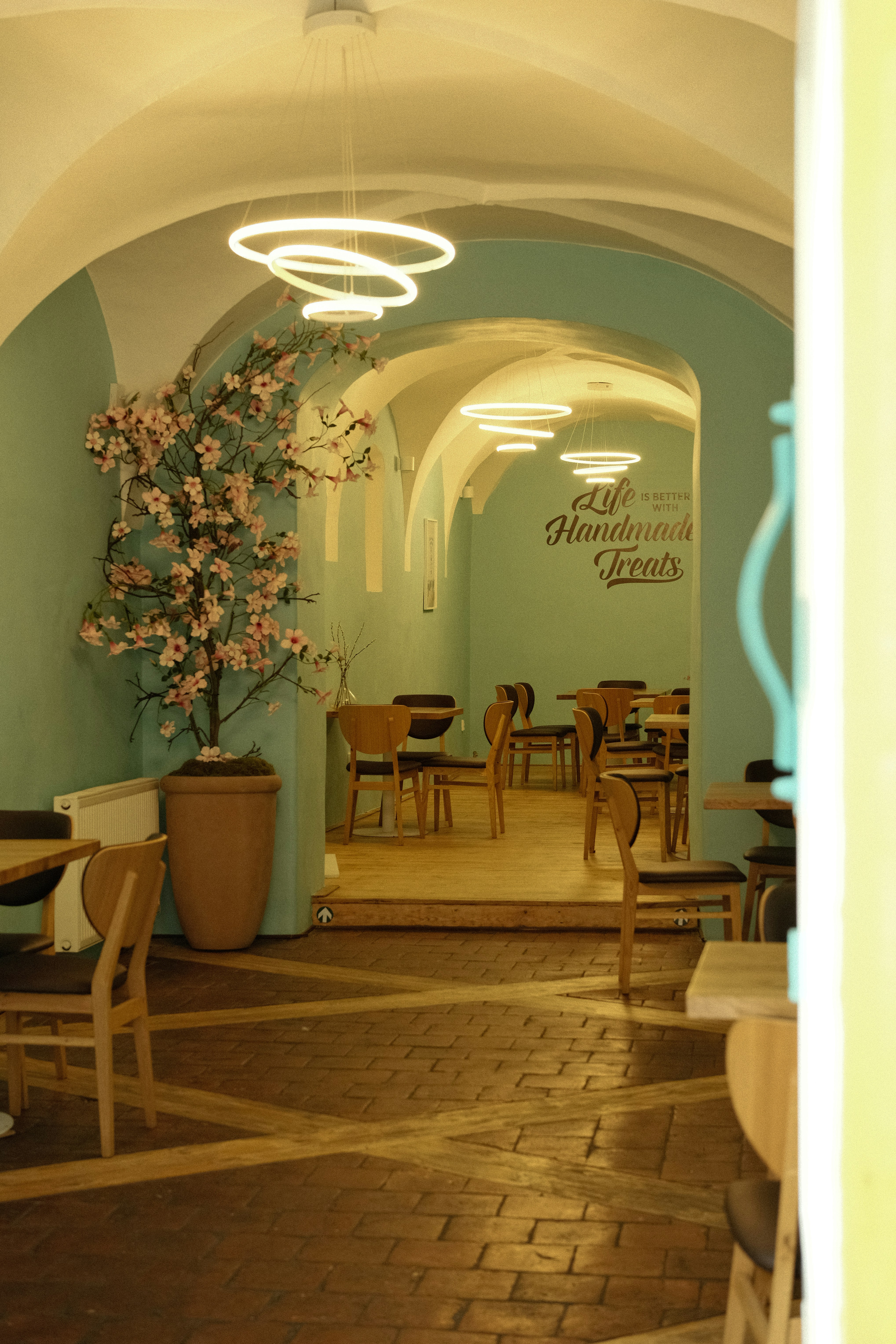 Light fixtures hang from an arched ceiling in a blue cafe with wooden chairs and tables. A tree with pink flowers adds decor to the interior space, creating a welcoming environment. | A charming cafe with light-ringed ceiling lights.