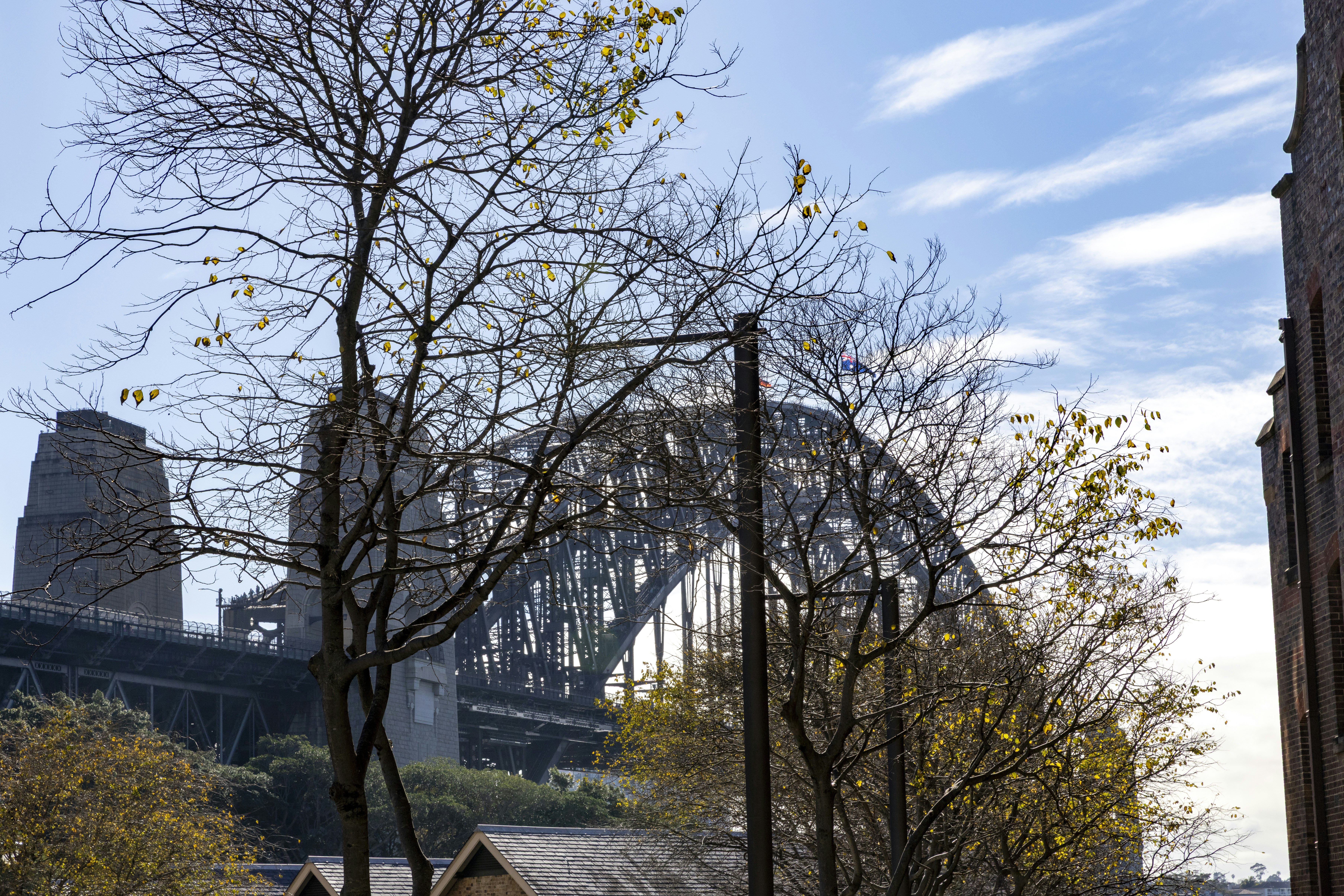 Urban Symphony: Nature Meets Architecture