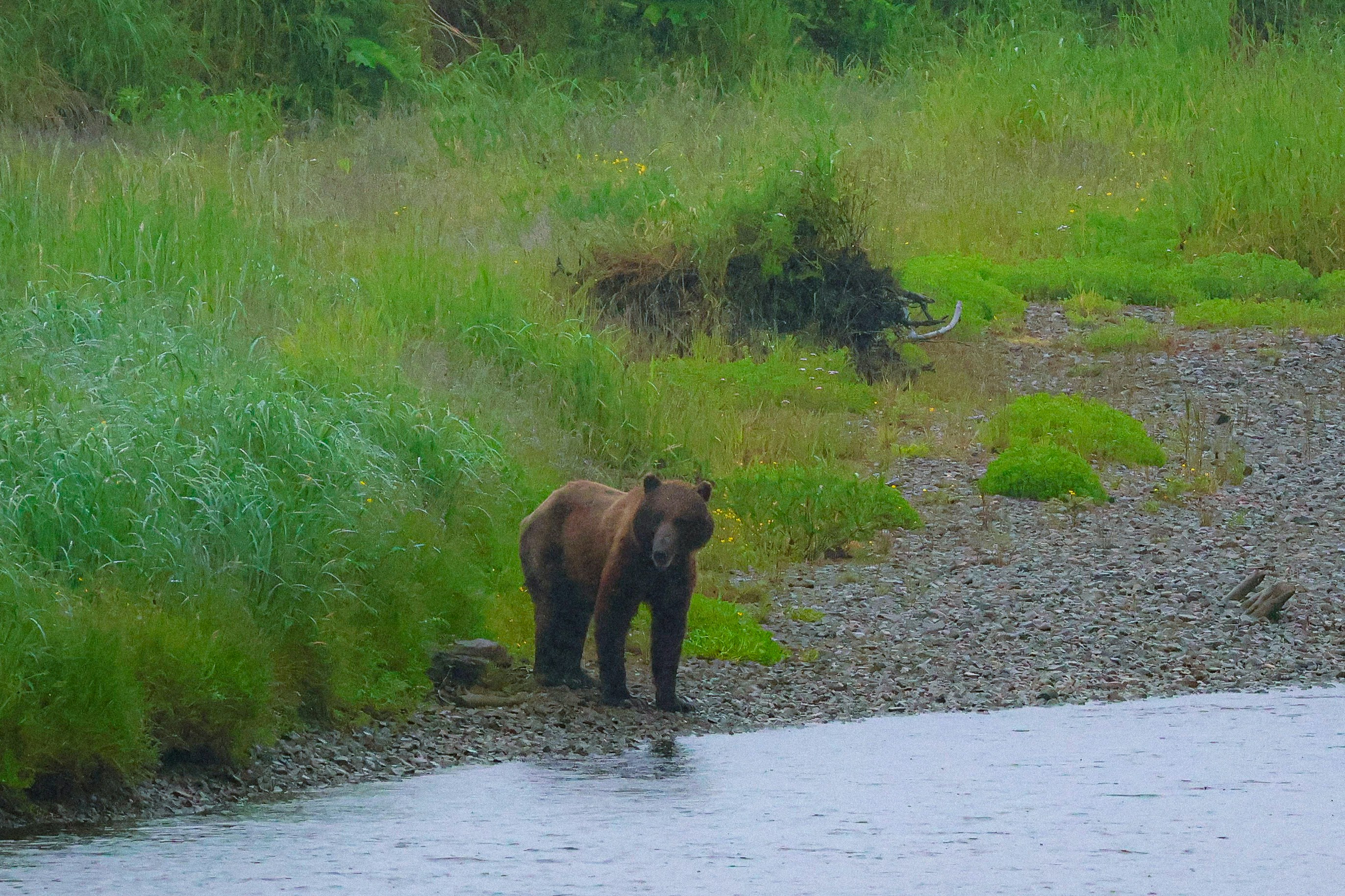 A Moment of Solitude by the Riverbank